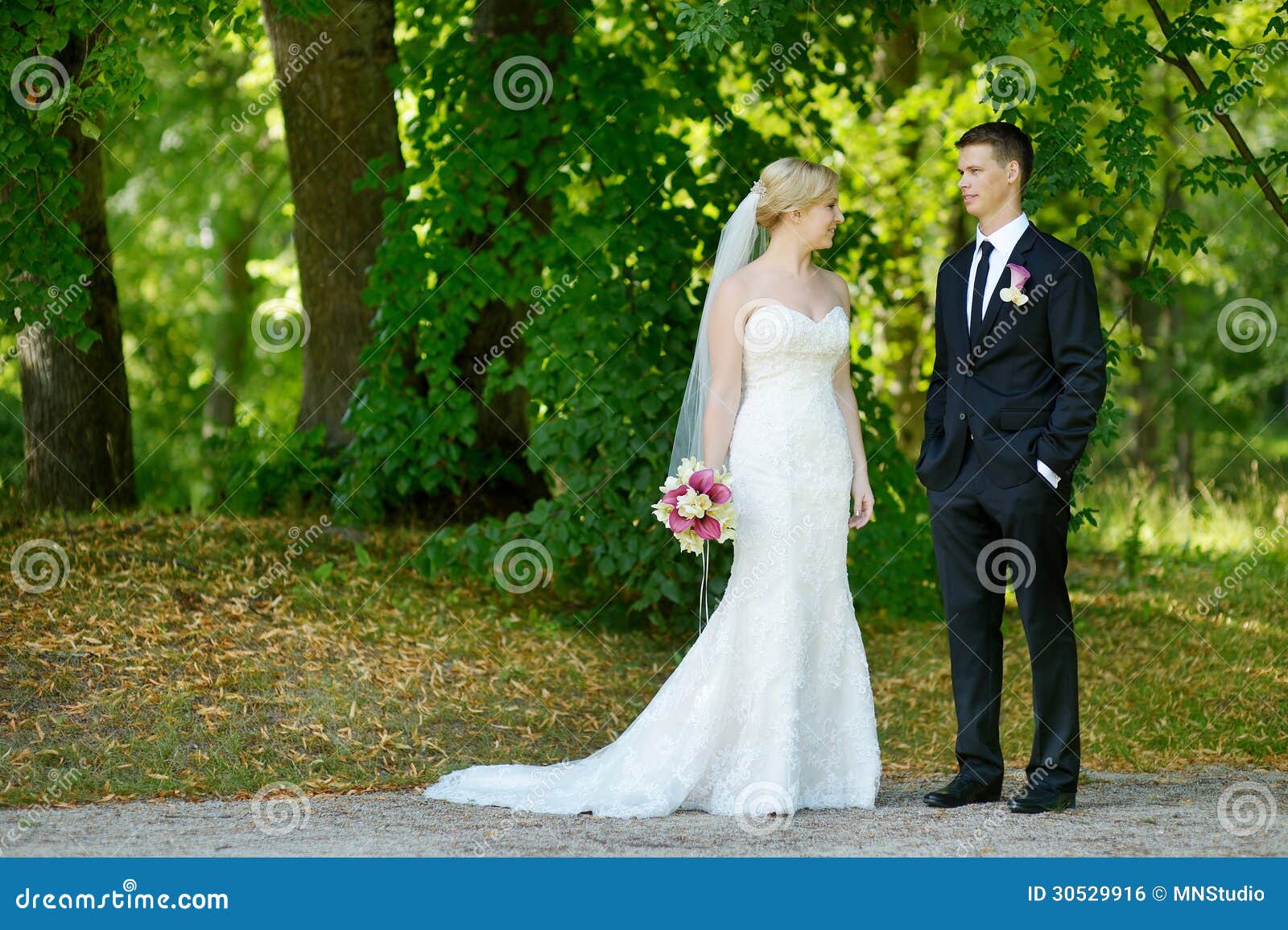 Beautiful bride and groom stock photo. Image of adolescence - 30529916