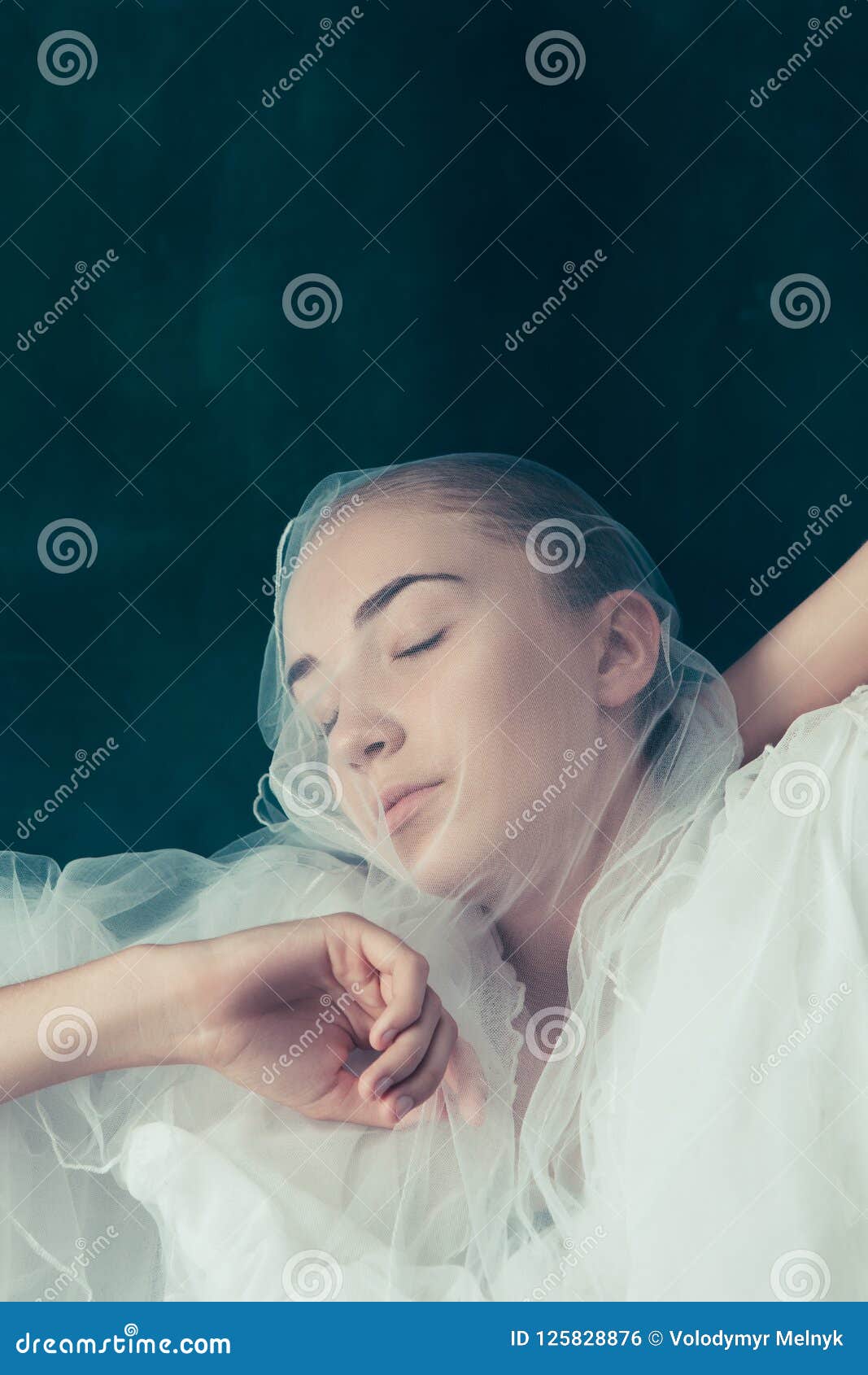 Beautiful Bride Looking Over Her Veil Stock Photo - Image of elegant ...