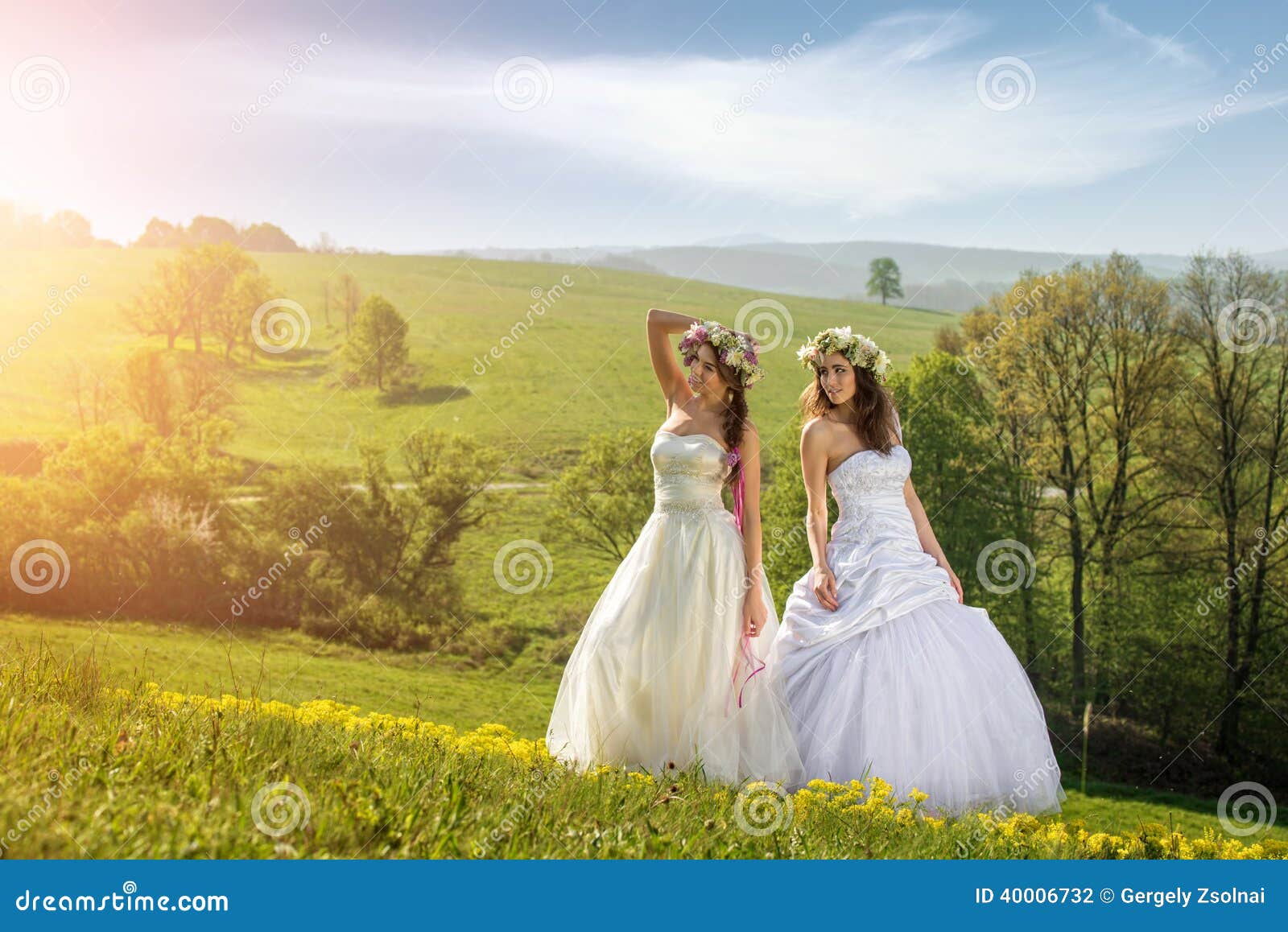 2 Beautiful Bride on a Meadow in the Early Morning Stock Photo - Image ...
