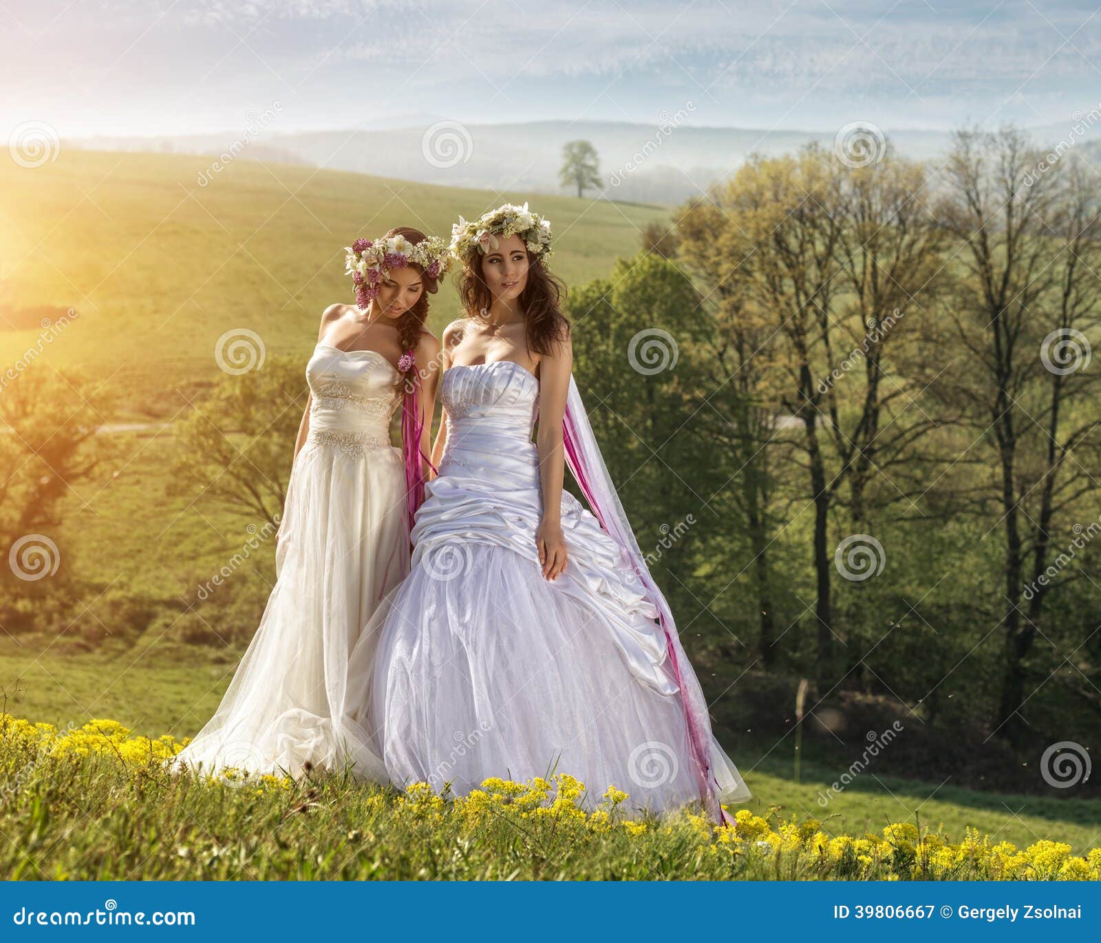 2 Beautiful Bride in the Outdoors - Idyllic Stock Image - Image of ...