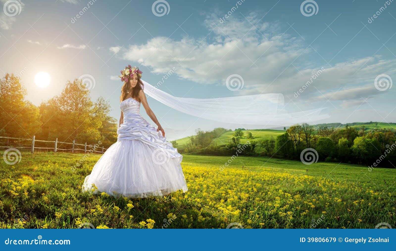 Beautiful Bride in the Outdoors - Idyllic Stock Image - Image of ...