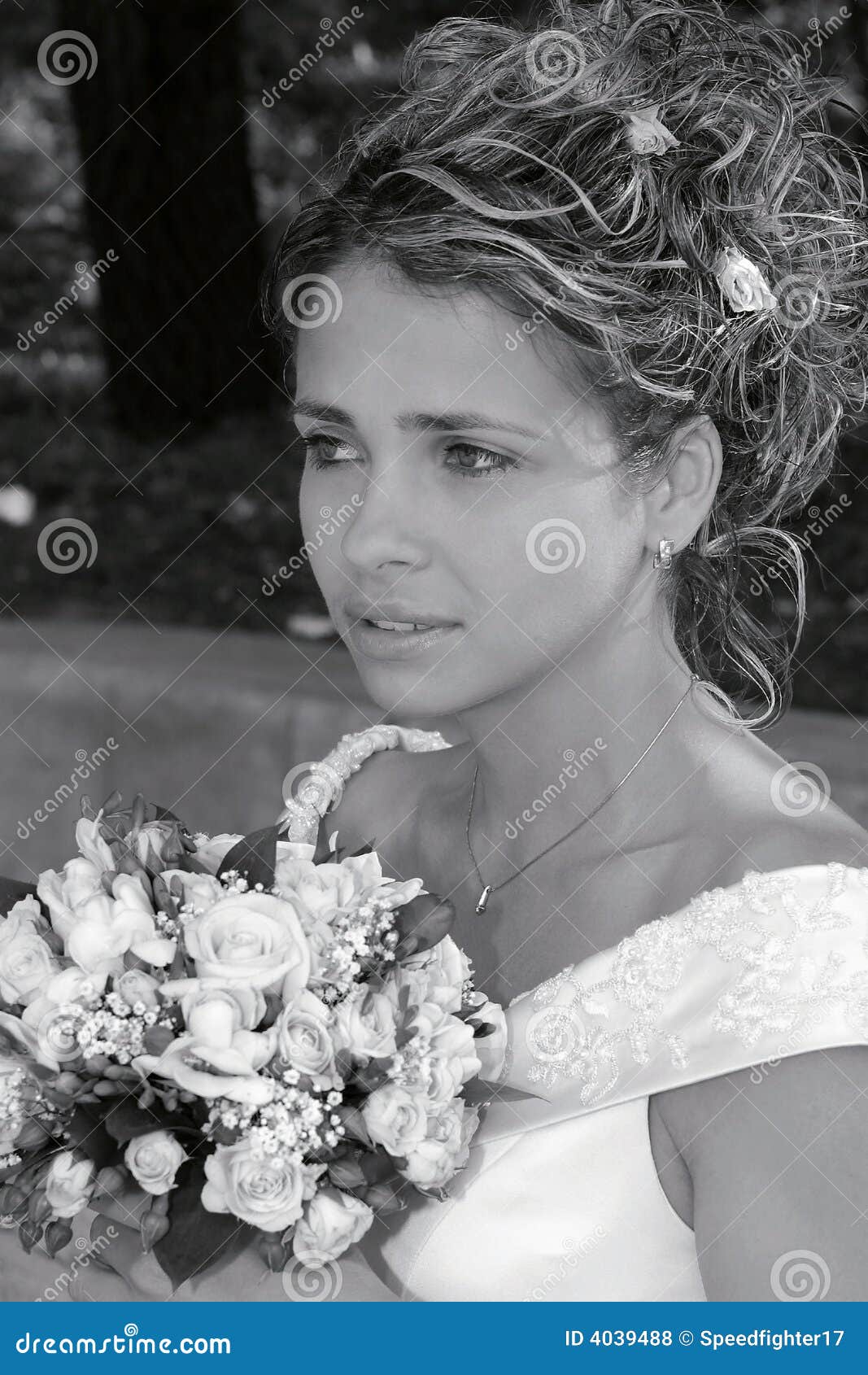 Beautiful Bride Portrait stock photo. Image of dress, attractive - 4039488
