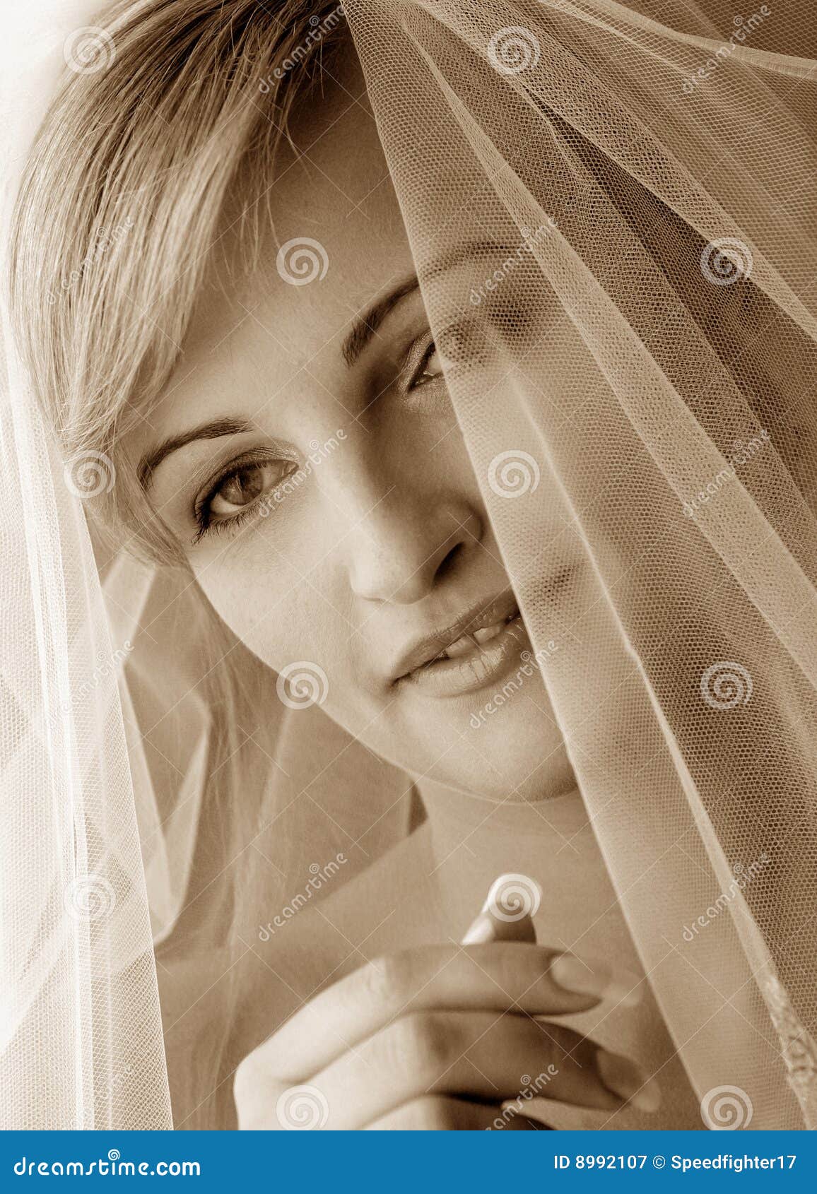 Beautiful bride portrait stock image. Image of blond, pretty - 8992107