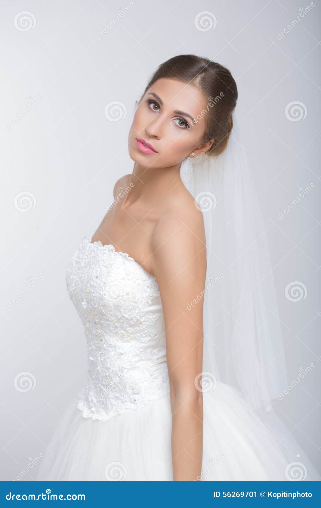 Beautiful bride stock image. Image of brunette, hair - 56269701