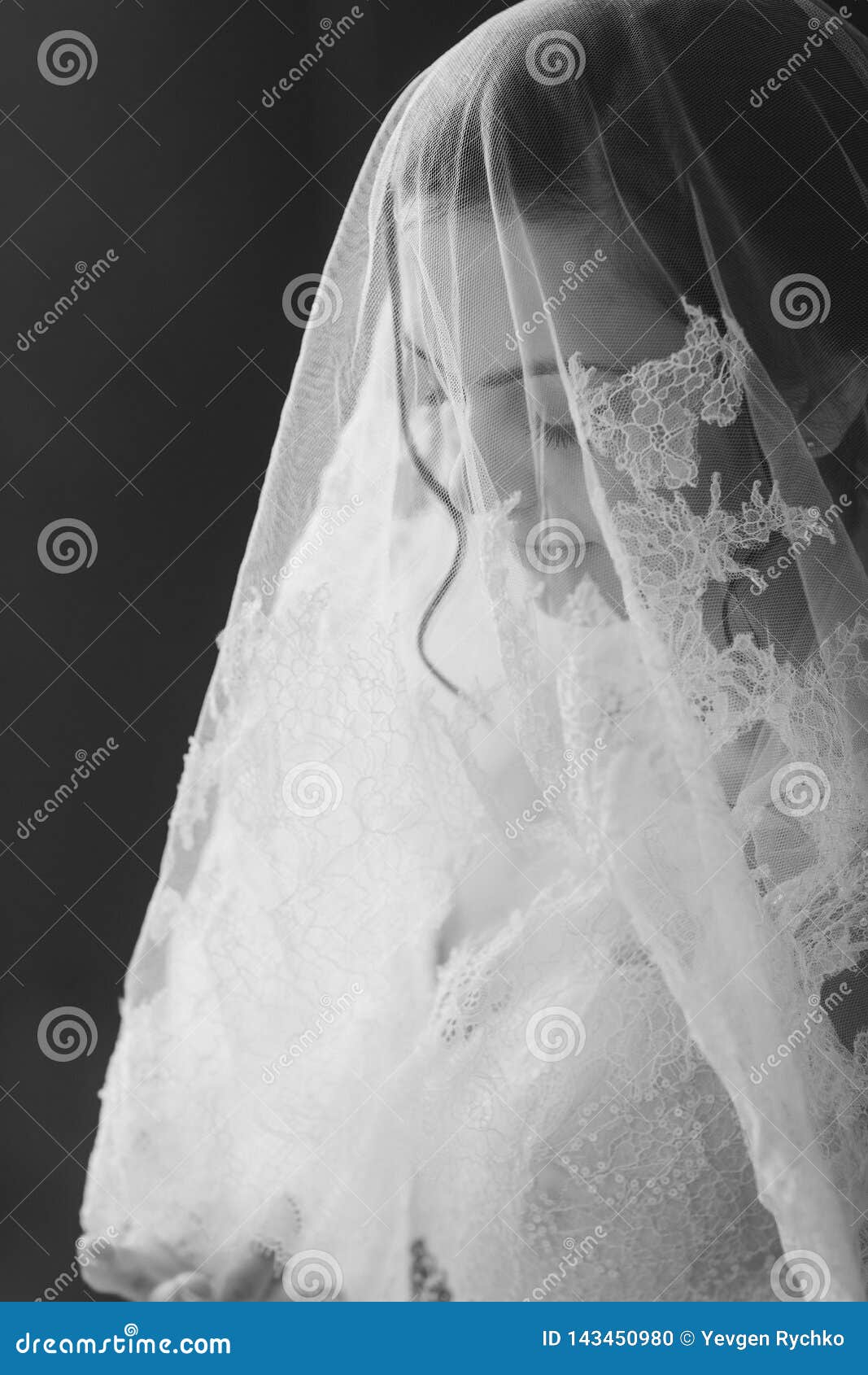 Beautiful Bride Portrait with Veil Over Face Stock Photo - Image of ...