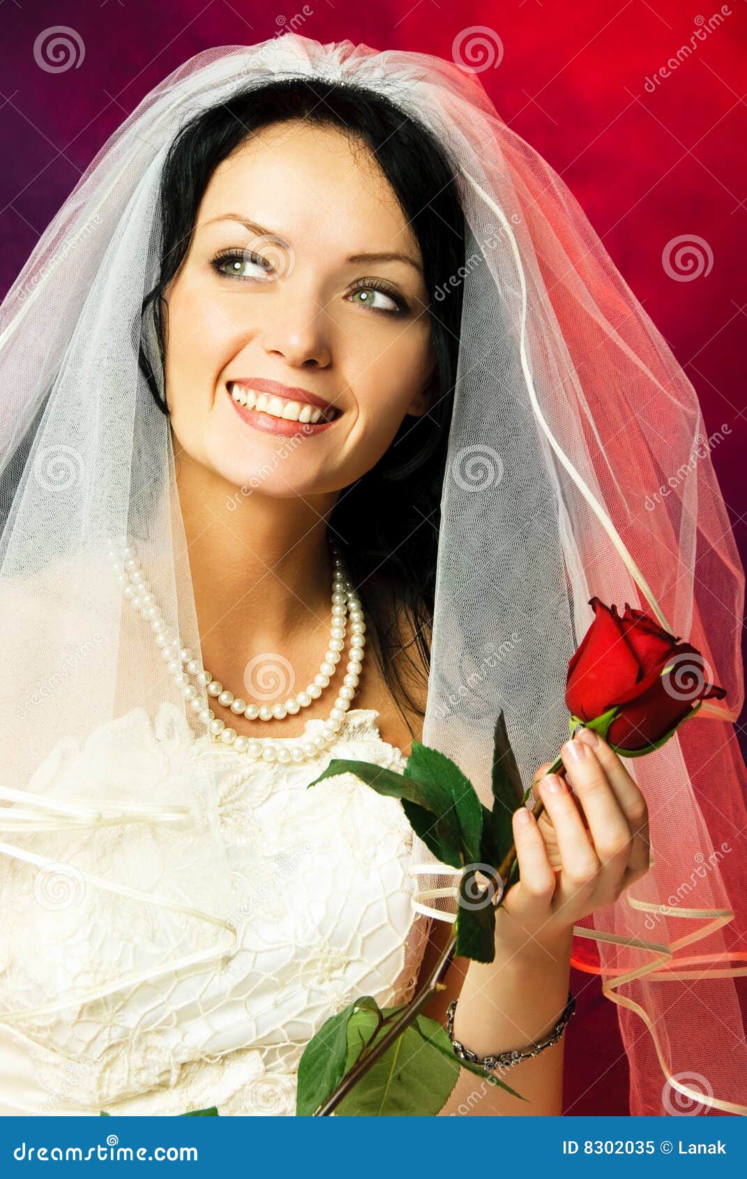Beautiful Bride with a Rose Stock Image - Image of dream, married: 8302035