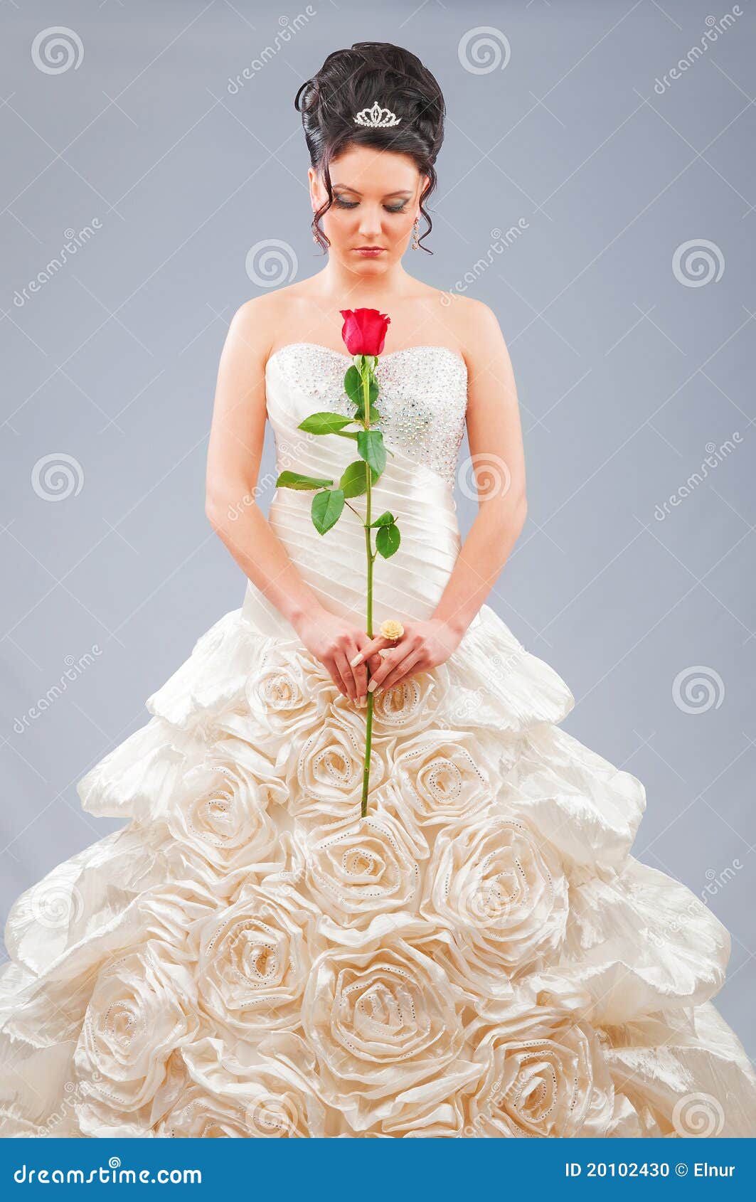 Beautiful Bride with Rose in Studio Stock Photo - Image of fashion ...