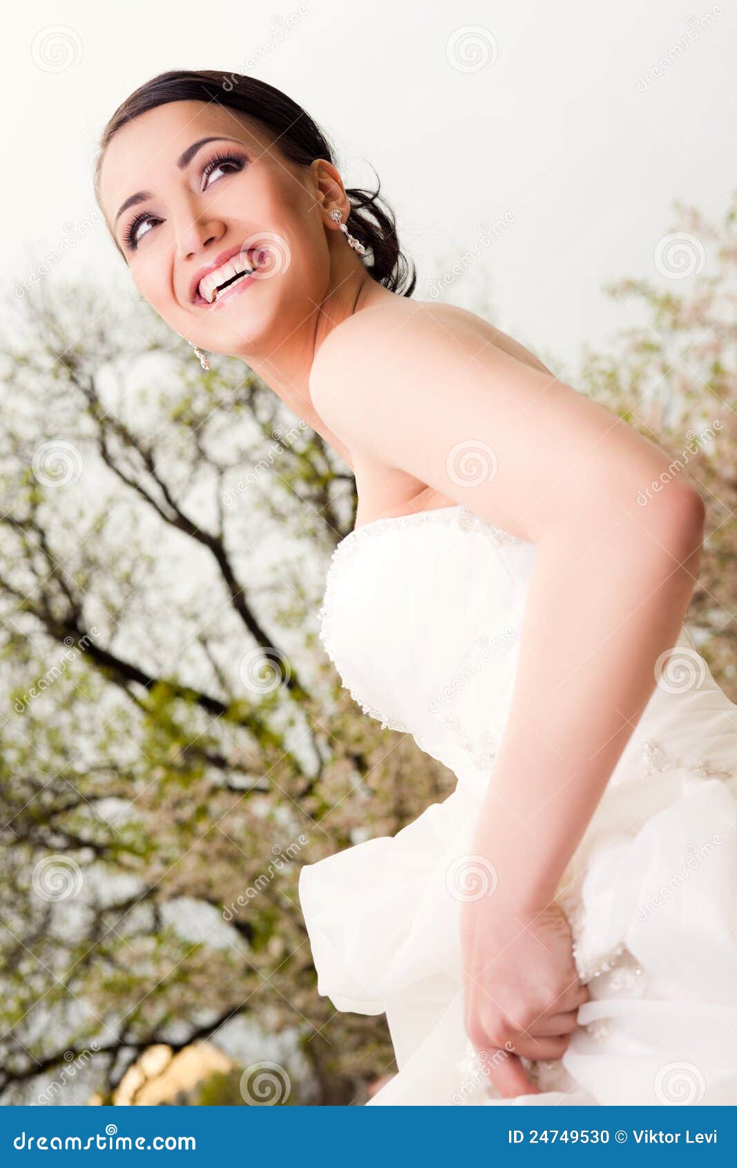 Beautiful bride smiling stock photo. Image of dress, cheerful - 24749530