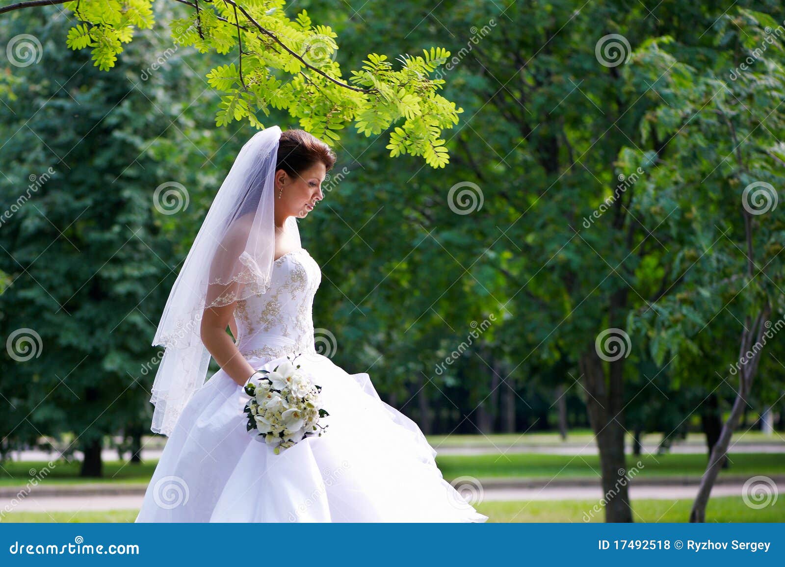 Beautiful Bride on Wedding Walk Stock Photo - Image of white, romantic ...