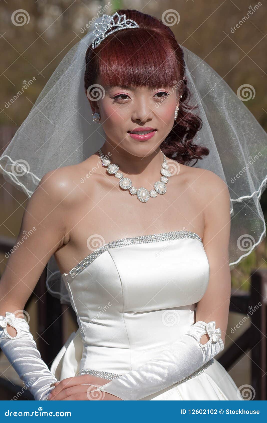 Beautiful Bride in White Gown and Veil Stock Photo - Image of bride ...