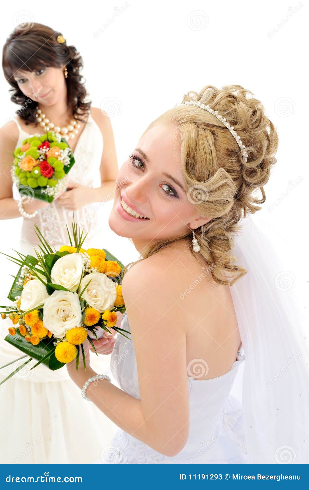 Beautiful brides stock image. Image of face, beauty, dress - 11191293
