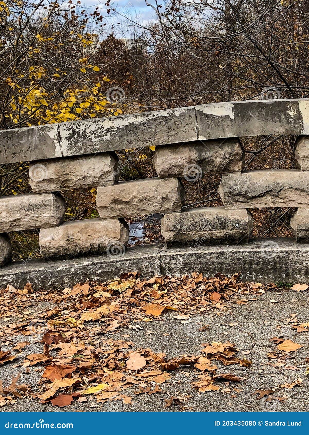 Bridge with Staggered Stones in Park Stock Photo - Image of trees ...