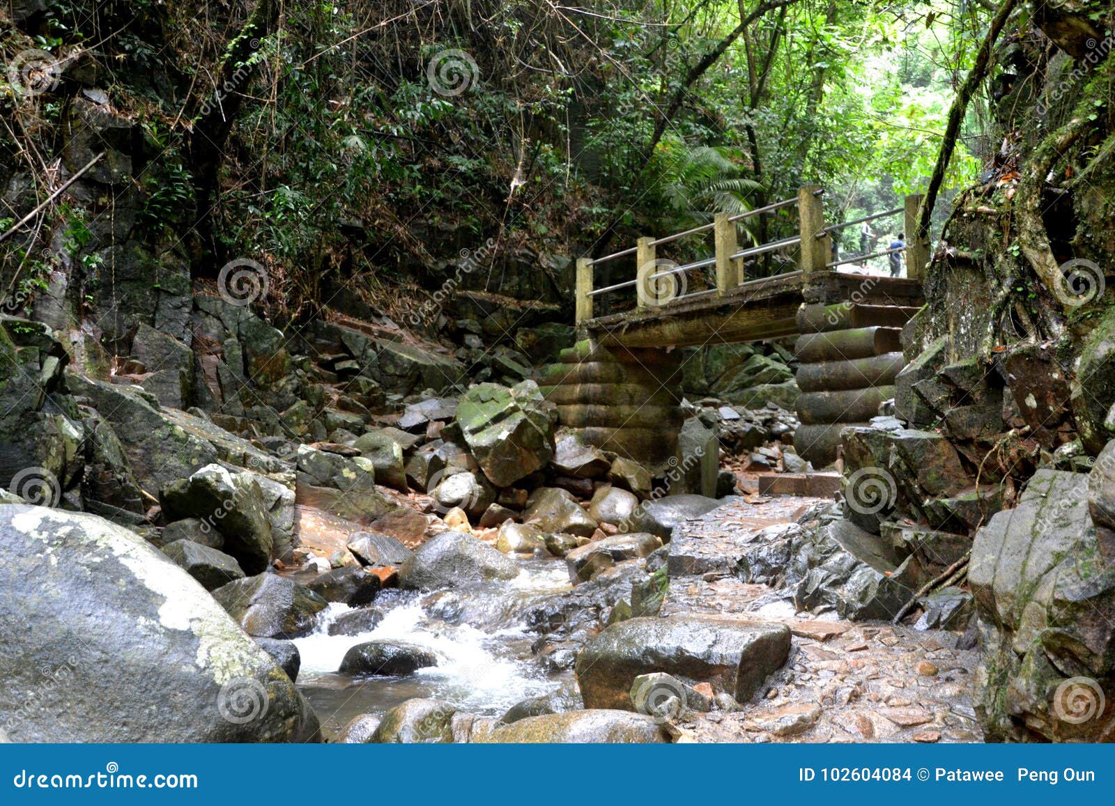 Bridge over the waterfall stock photo. Image of lanka - 102604084