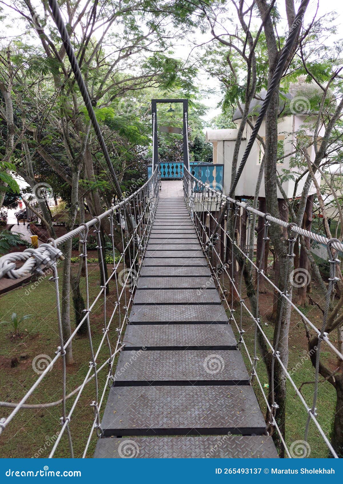Beautiful Bridge in the Park for Playing Flying Fox Stock Image - Image ...