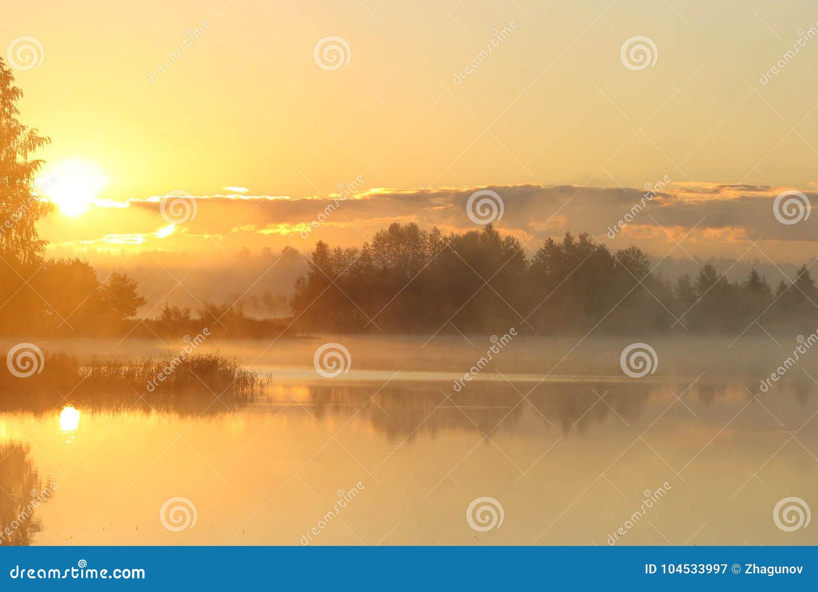 Beautiful Bright Dawn in the Mist Stock Image - Image of calm, grass ...