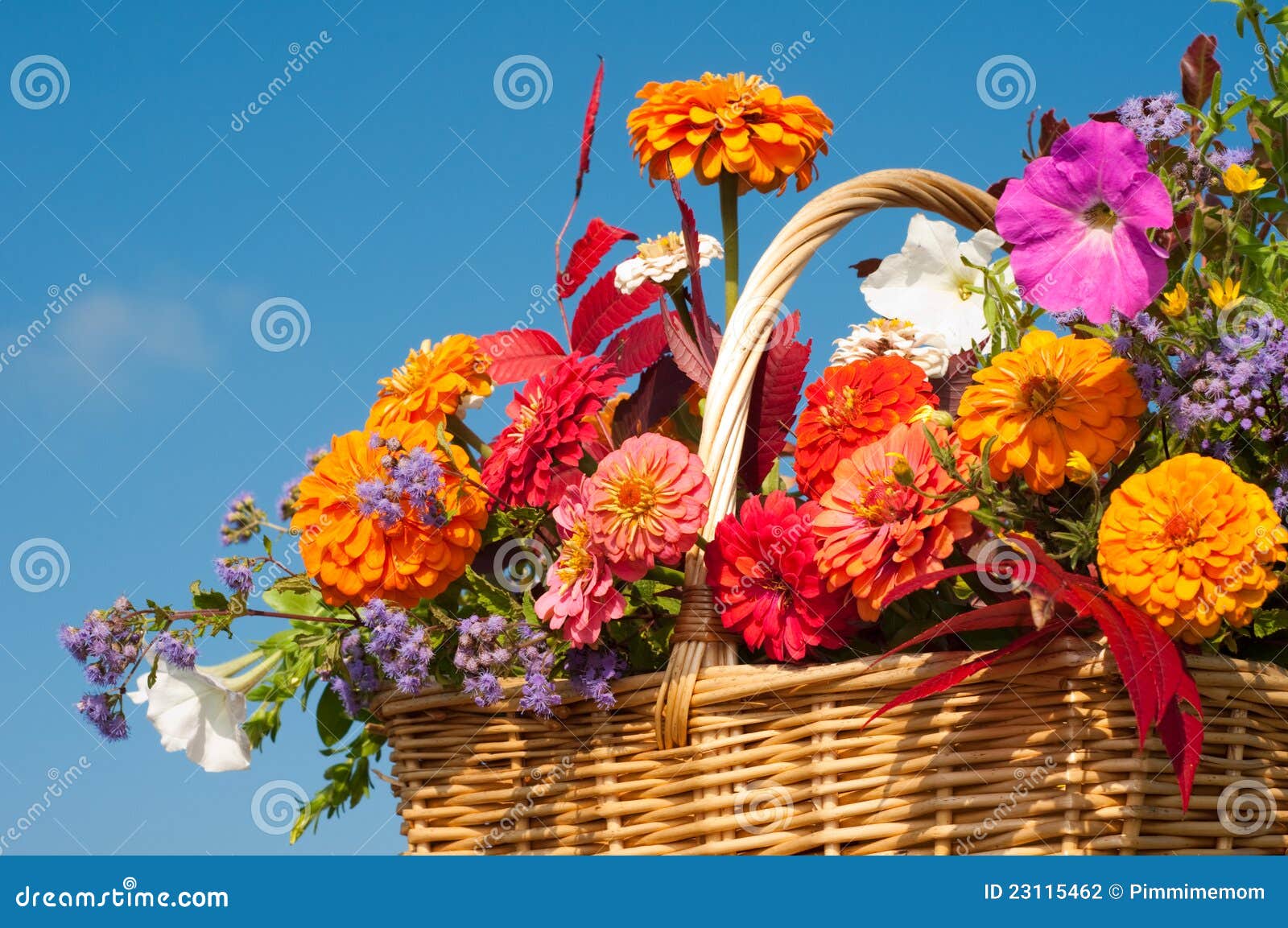 Beautiful, Bright Fall Flowers in a Wicker Basket Stock Photo - Image ...