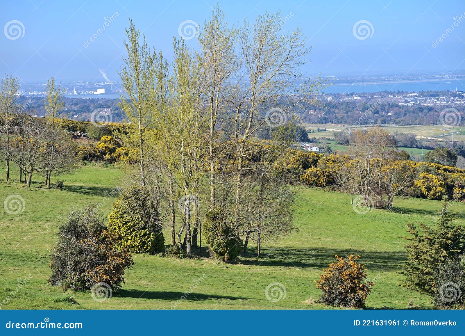 Beautiful Bright Selective View of Group of Different Trees Growing on ...