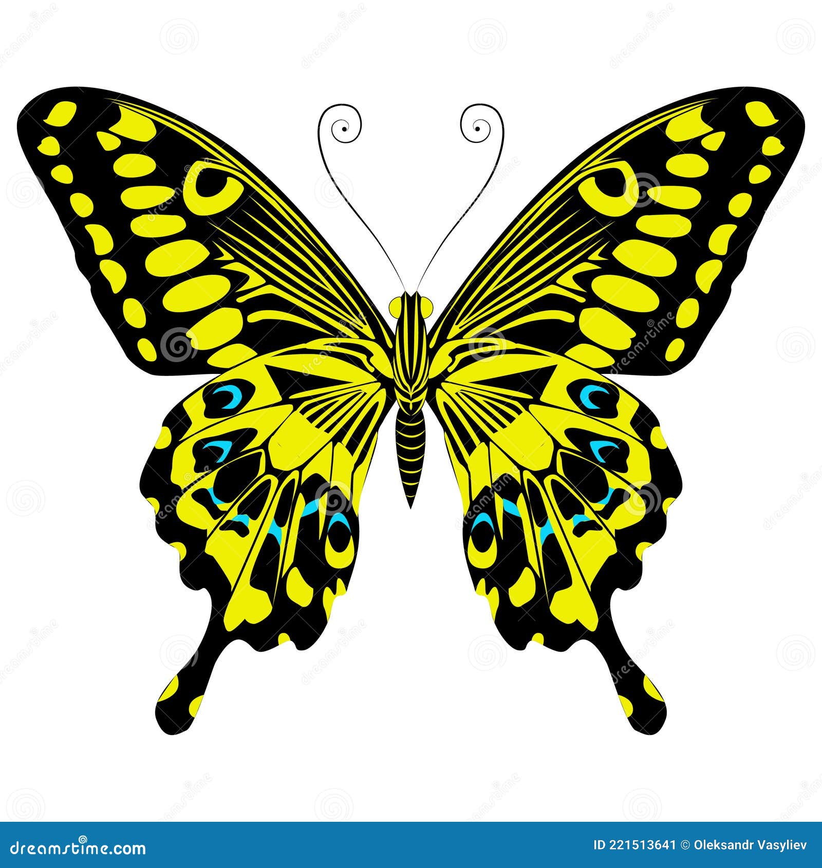 Beautiful Bright Yellow Butterfly. Vector Illustration Isolated Stock ...