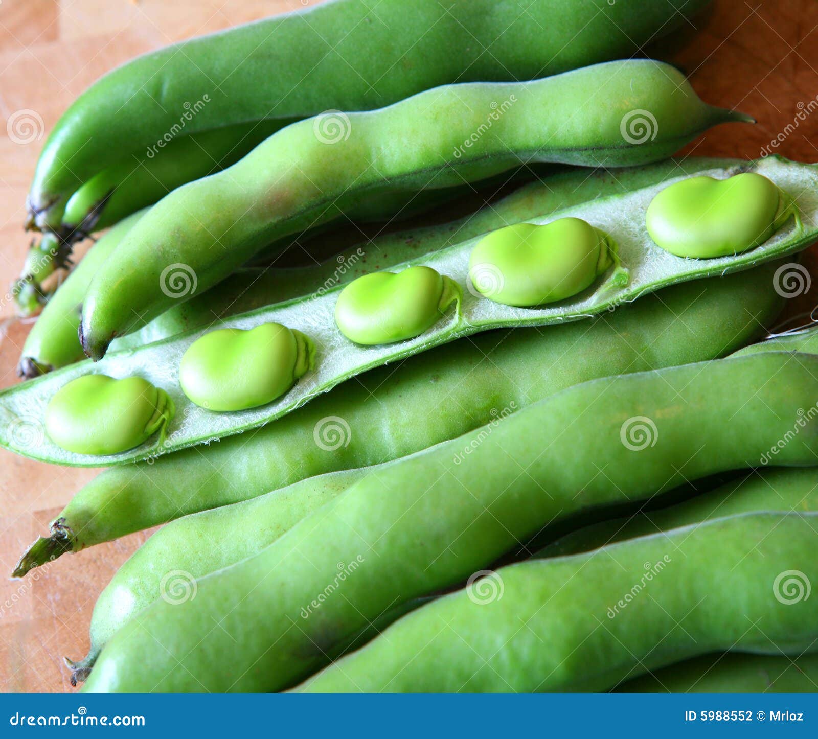 Beautiful broad beans stock photo. Image of green, eating - 5988552