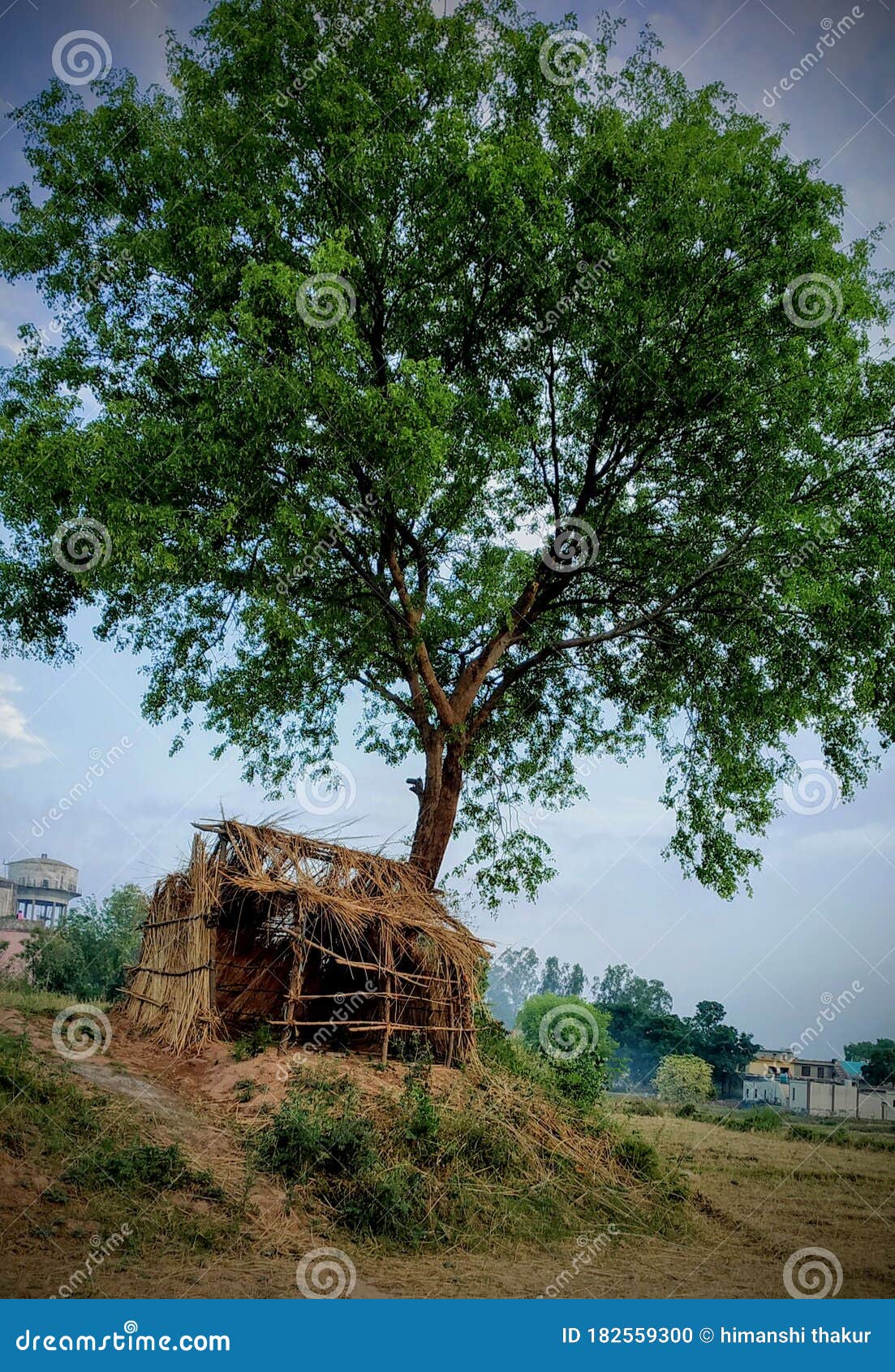 Beautiful Broken Hut Under a Tree Stock Photo - Image of broken ...