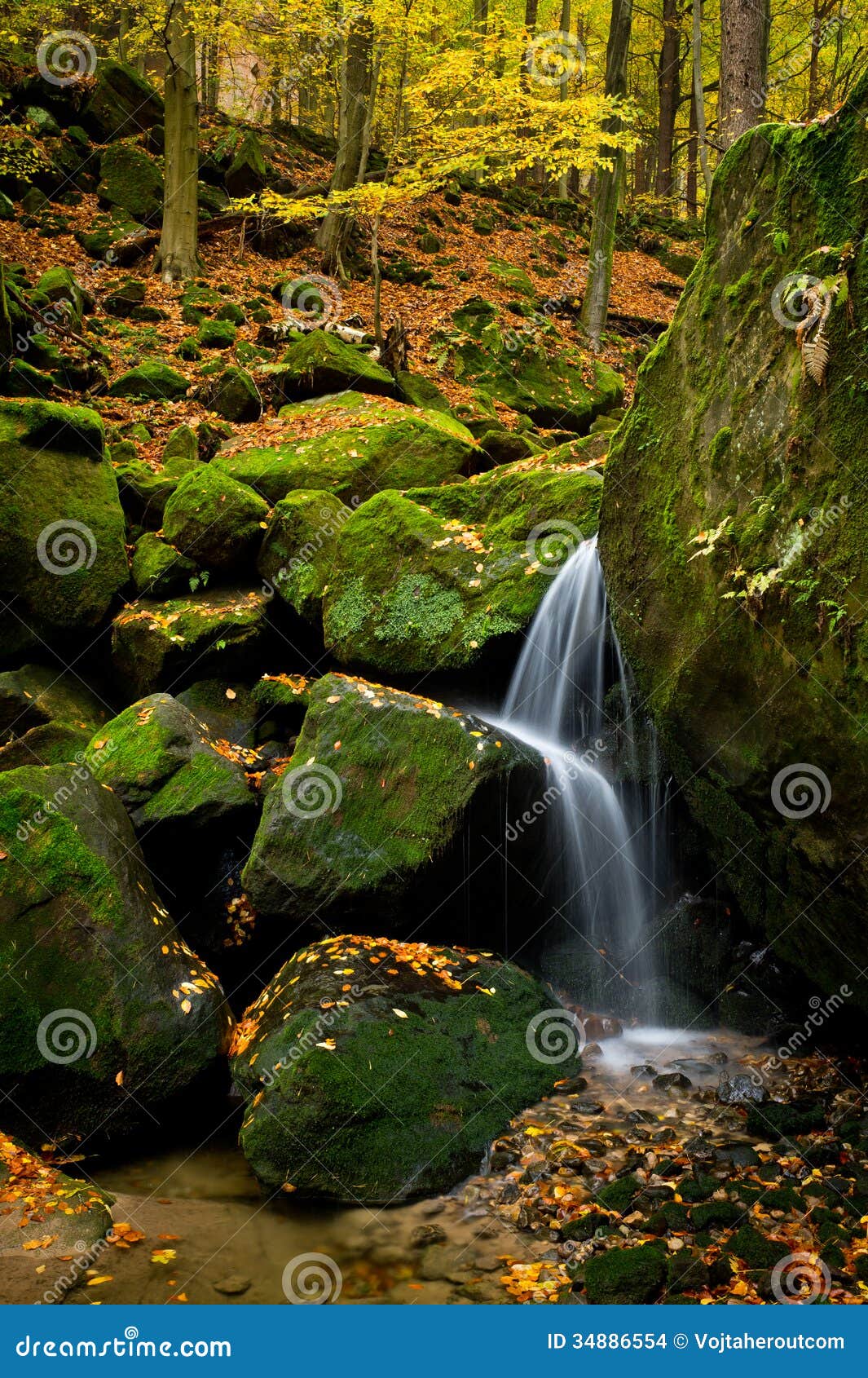 Beautiful Brook in Autumn Colored Forest Stock Photo - Image of creek ...