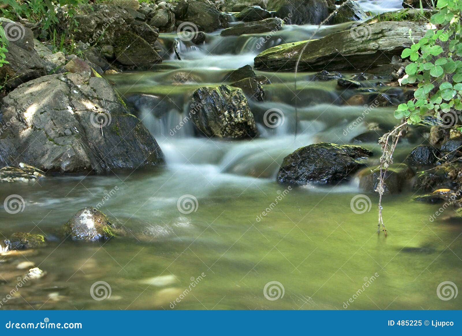 Beautiful Brook in the Forest Stock Image - Image of countryside, leaf ...