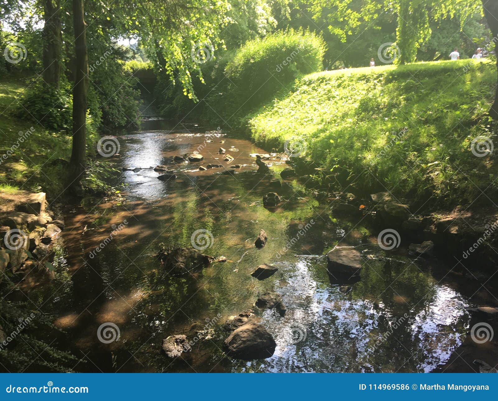 Beautiful brook image stock photo. Image of magical - 114969586