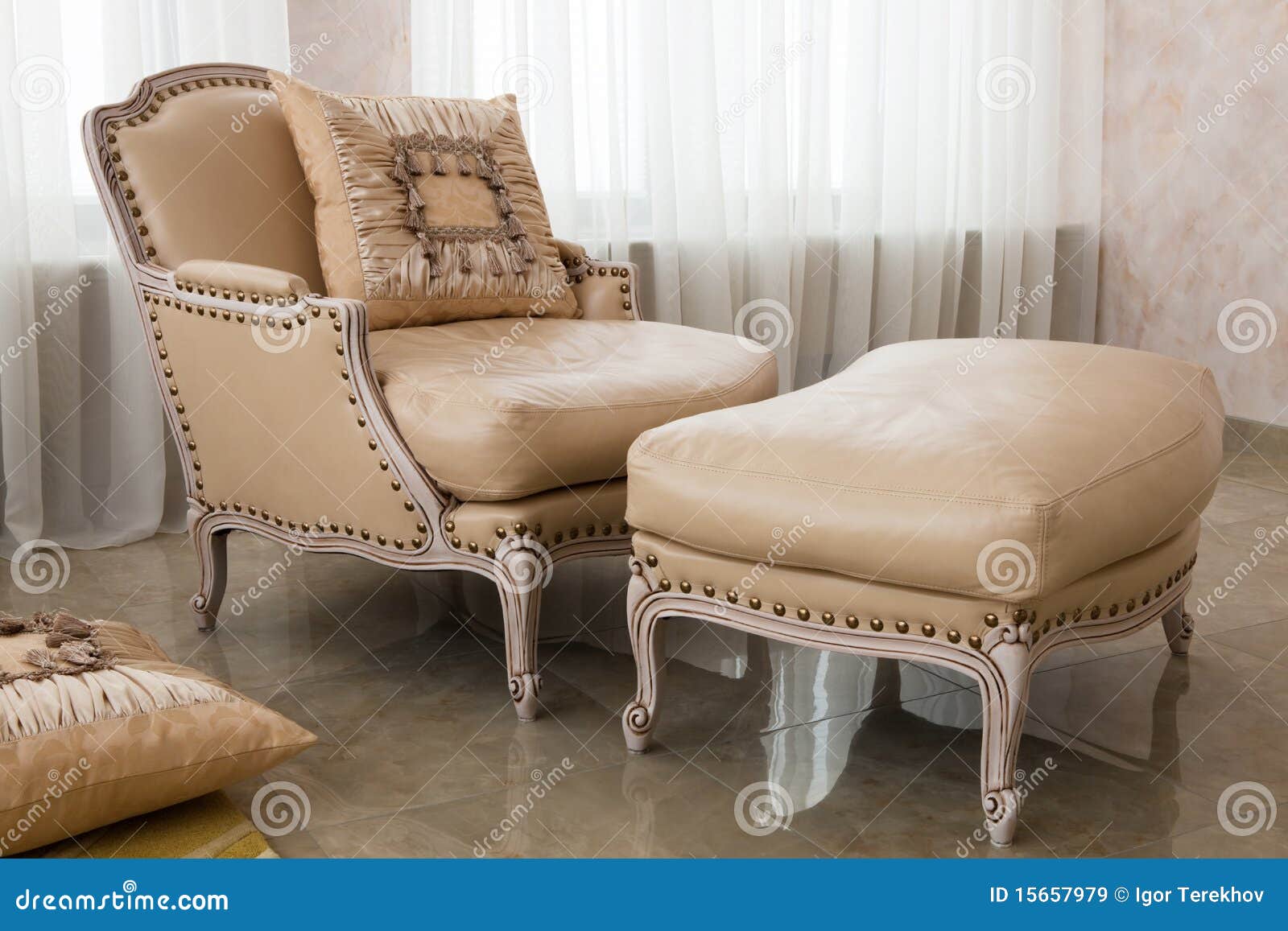 Beautiful brown armchair stock image. Image of relaxation - 15657979