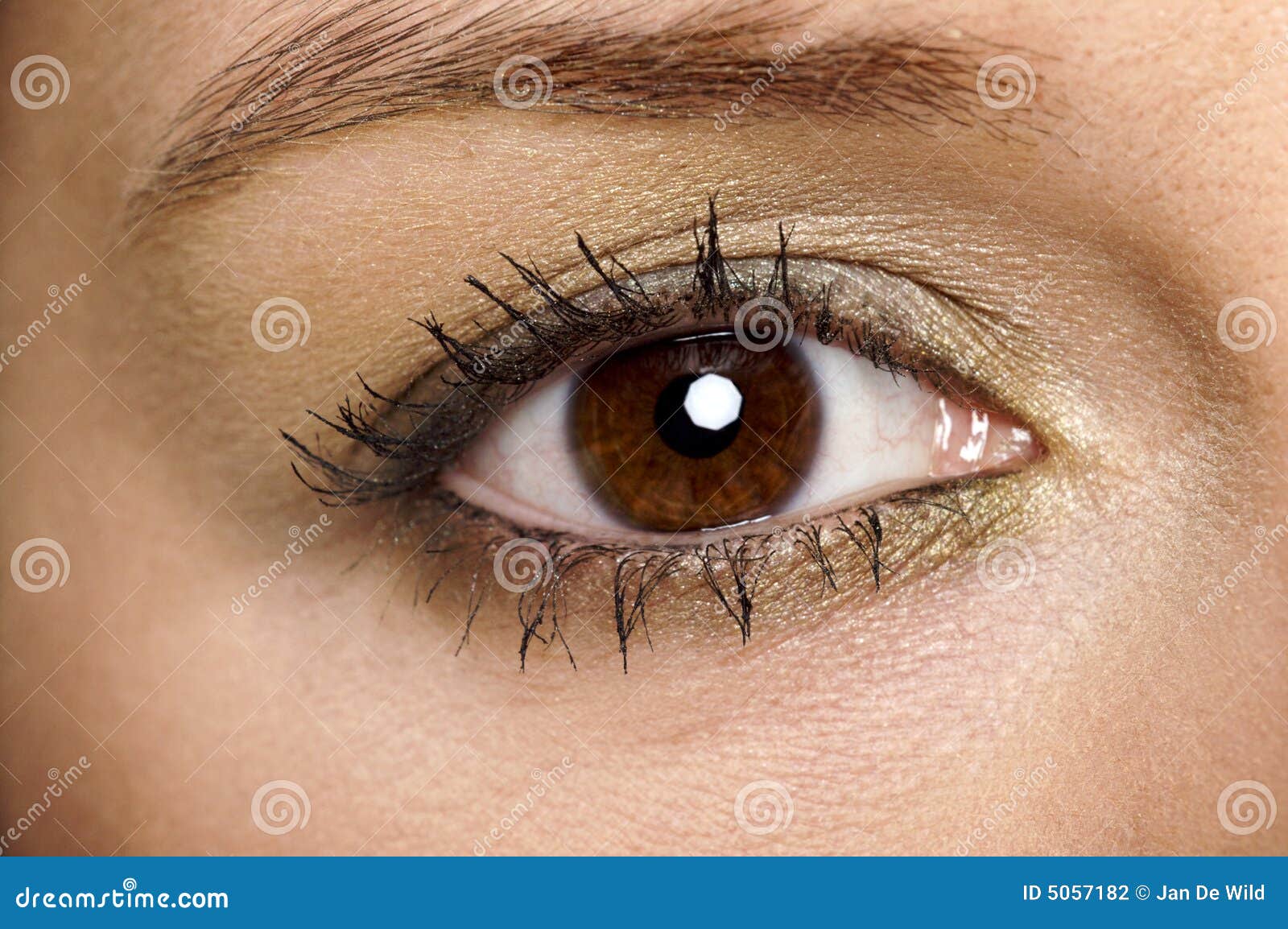 Beautiful Brown Eye Stock Photography - Image: 5057182