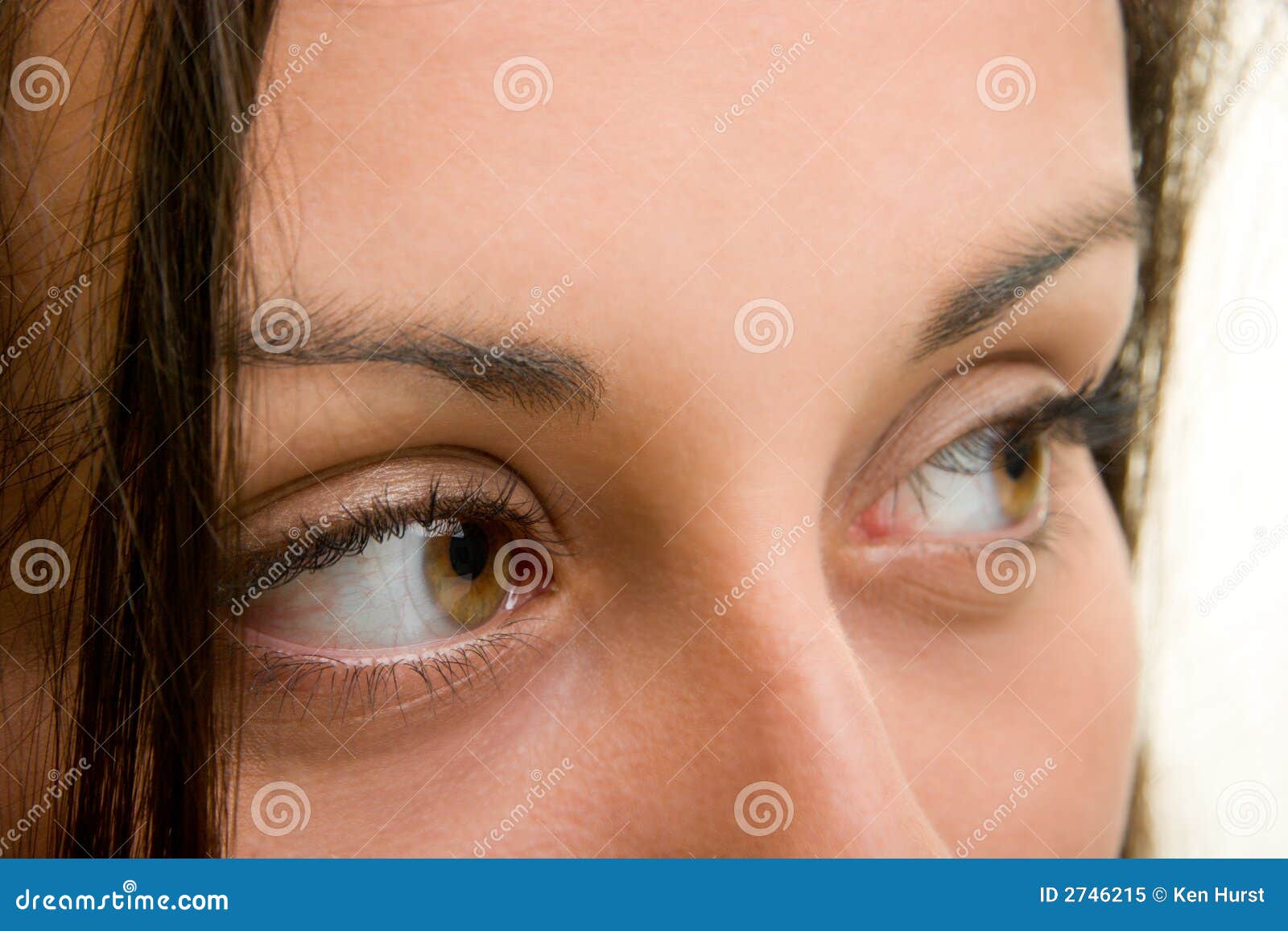 Beautiful Brown Eyes stock image. Image of head, looking - 2746215
