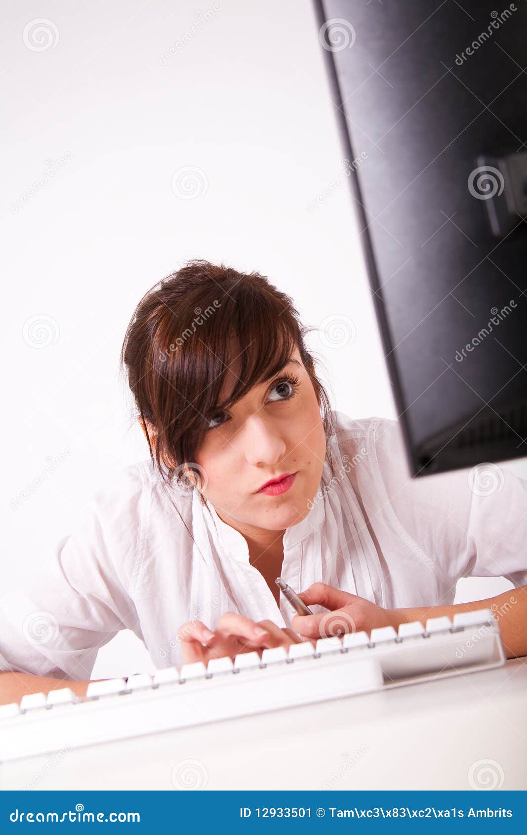 Beautiful brown secretary stock image. Image of expression - 12933501