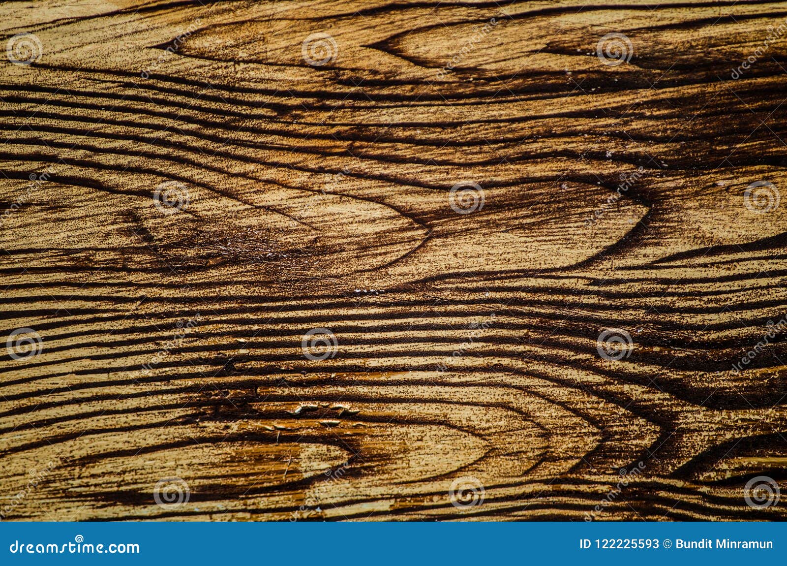 Beautiful Brown Wood Timber Abstract Surface Pattern for Background ...