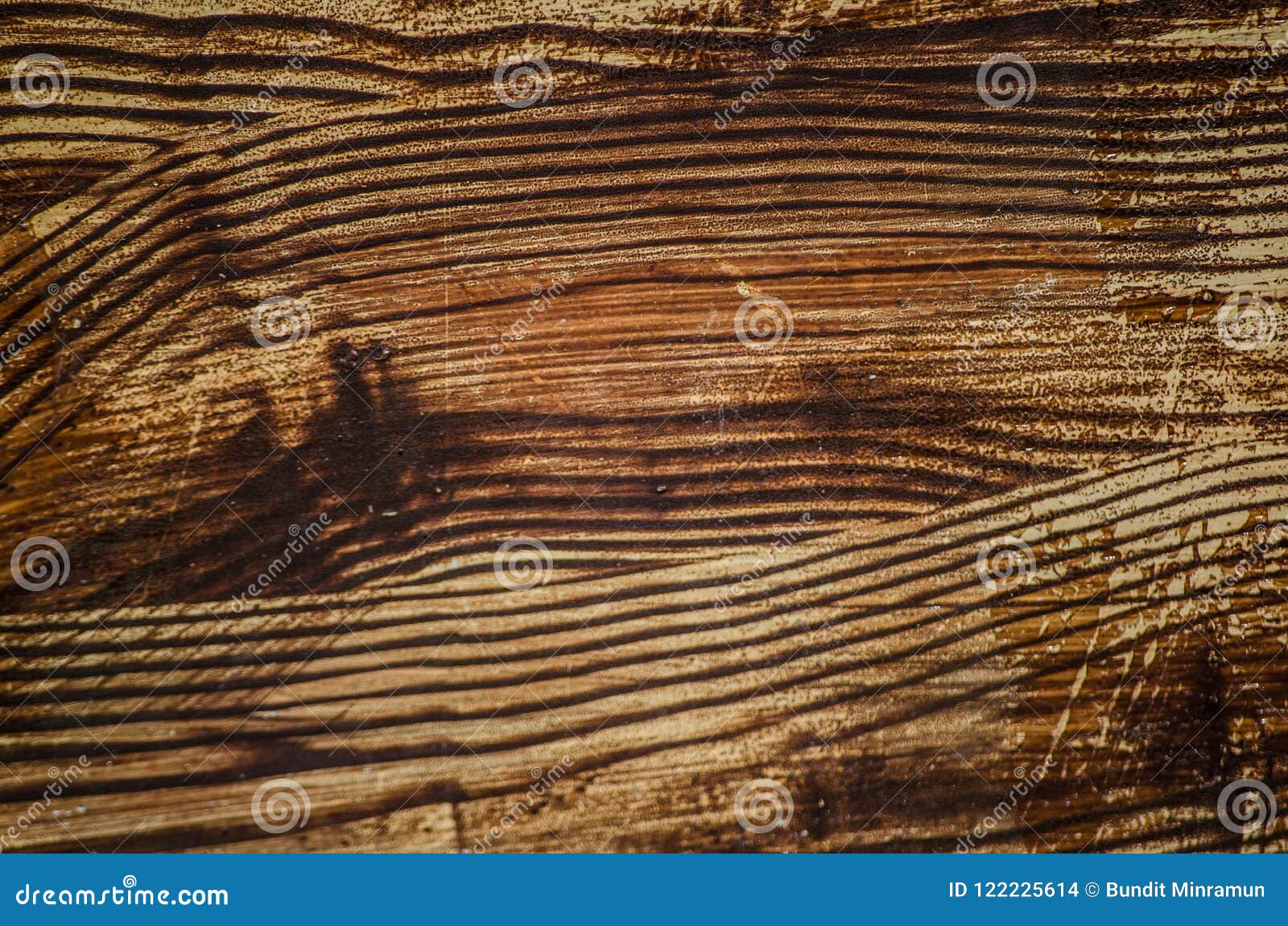 Beautiful Brown Wood Timber Abstract Surface Pattern for Background ...