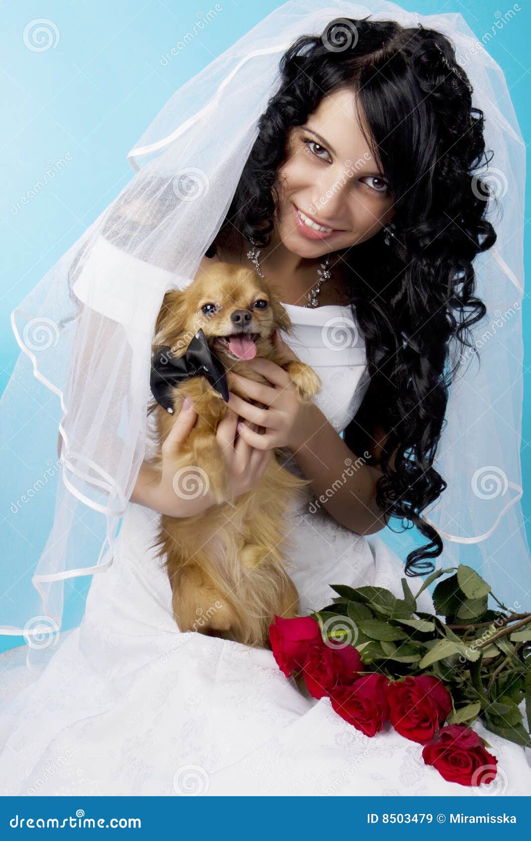 Beautiful Brunette Bride with a Dog Stock Image - Image of cute ...
