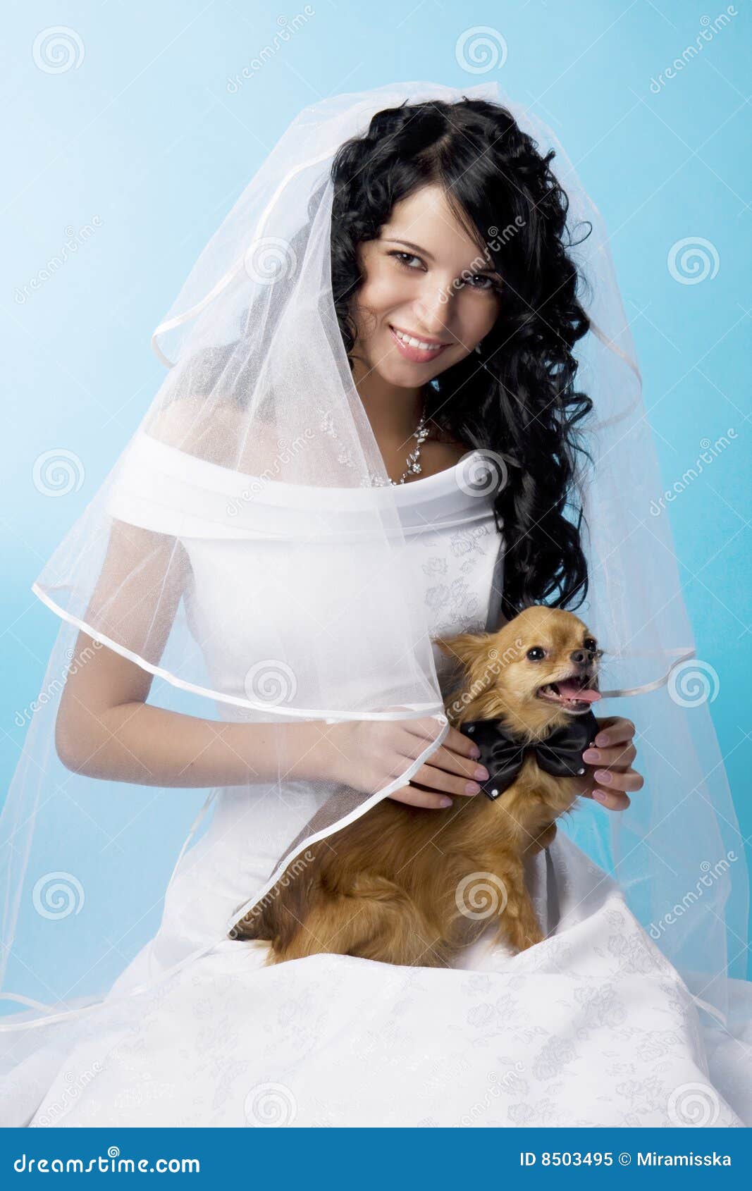 Beautiful Brunette Bride with a Dog Stock Image - Image of couple ...