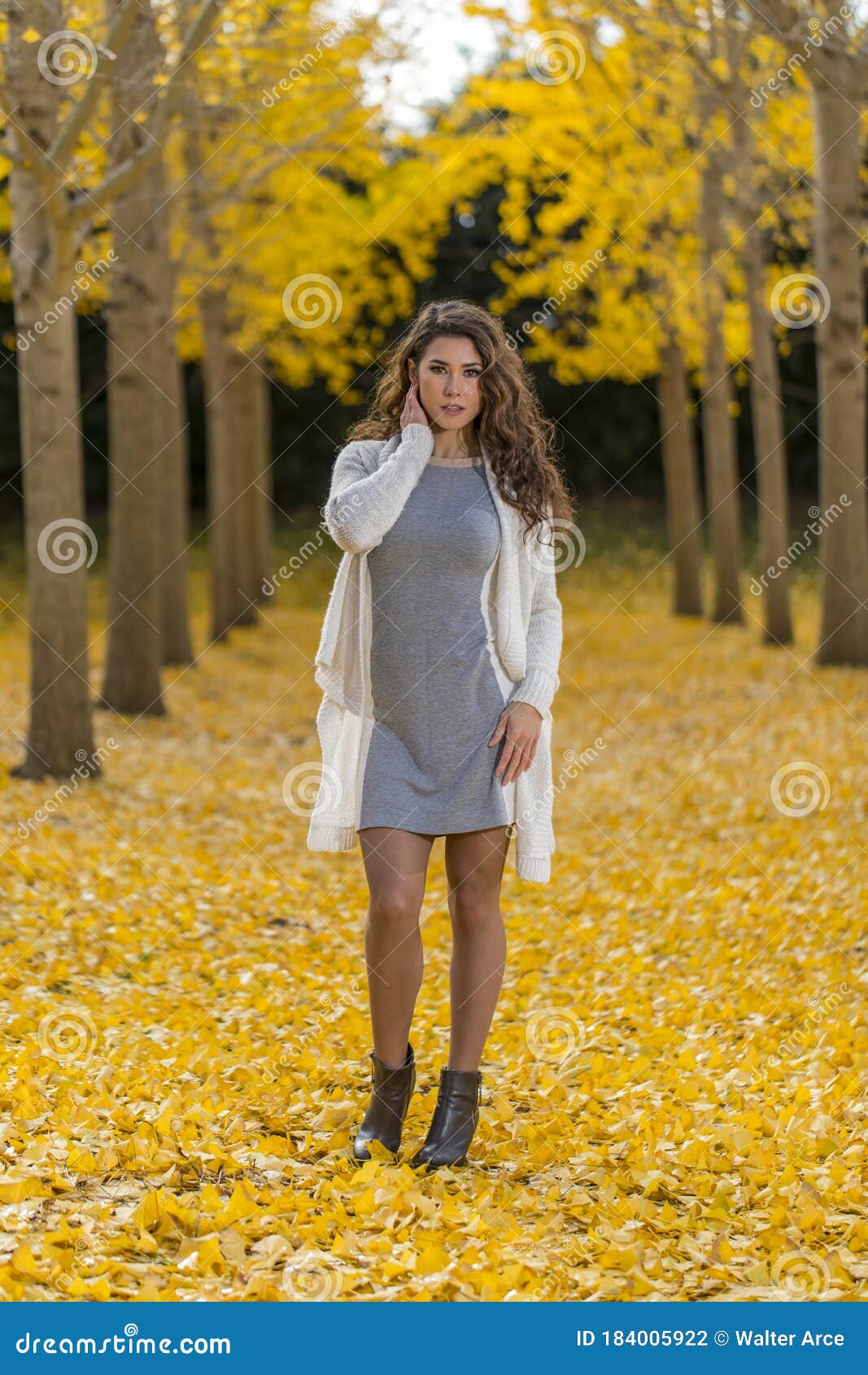 Brunette Model in Fall Foliage Stock Photo - Image of cute, carefree ...