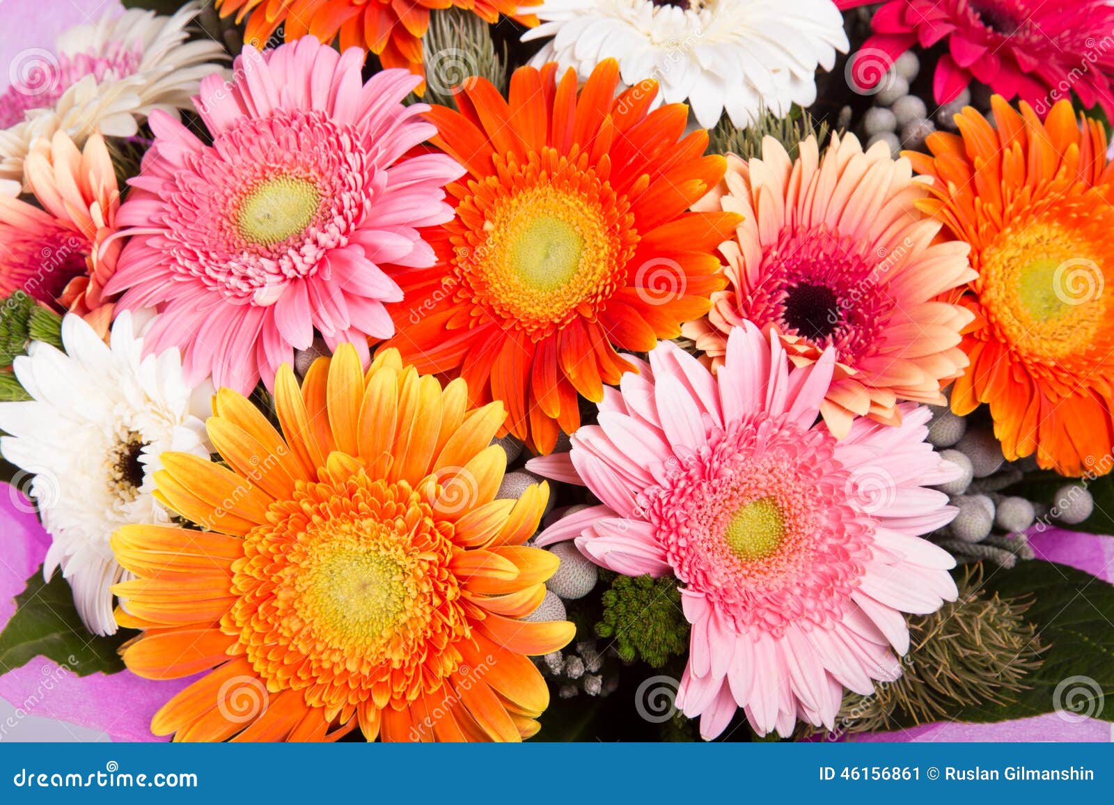 1,307 Beautiful Bunch Gerberas Photos - Free & Royalty-Free Stock ...