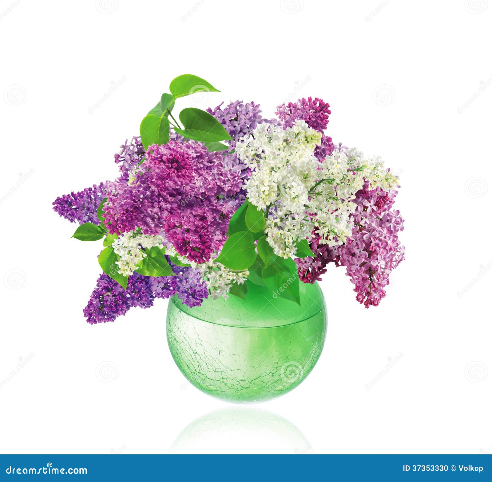 Beautiful Bunch of Lilac in the Vase Stock Photo - Image of lilac, copy ...