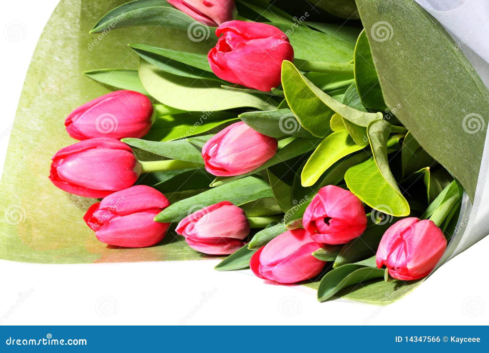 Beautiful Bunch Of Pink Tulips Stock Photo - Image of white, pink: 14347566