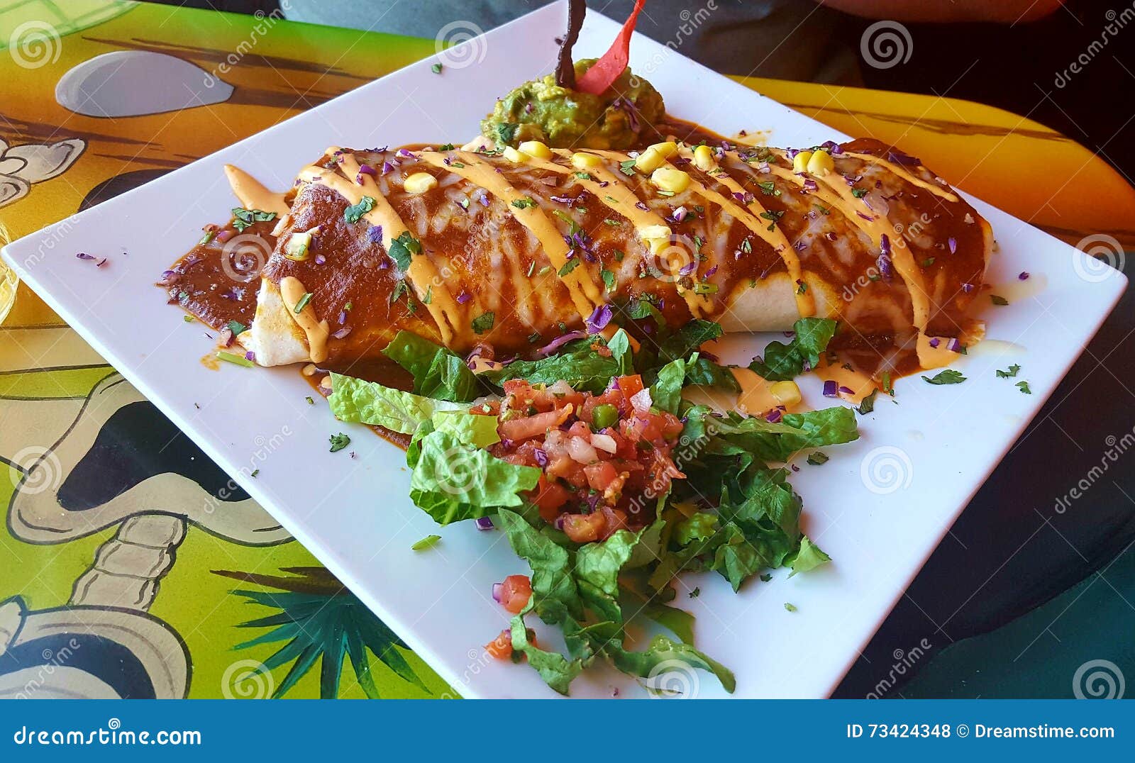 Beautiful burrito stock photo. Image of arizona, mexican - 73424348