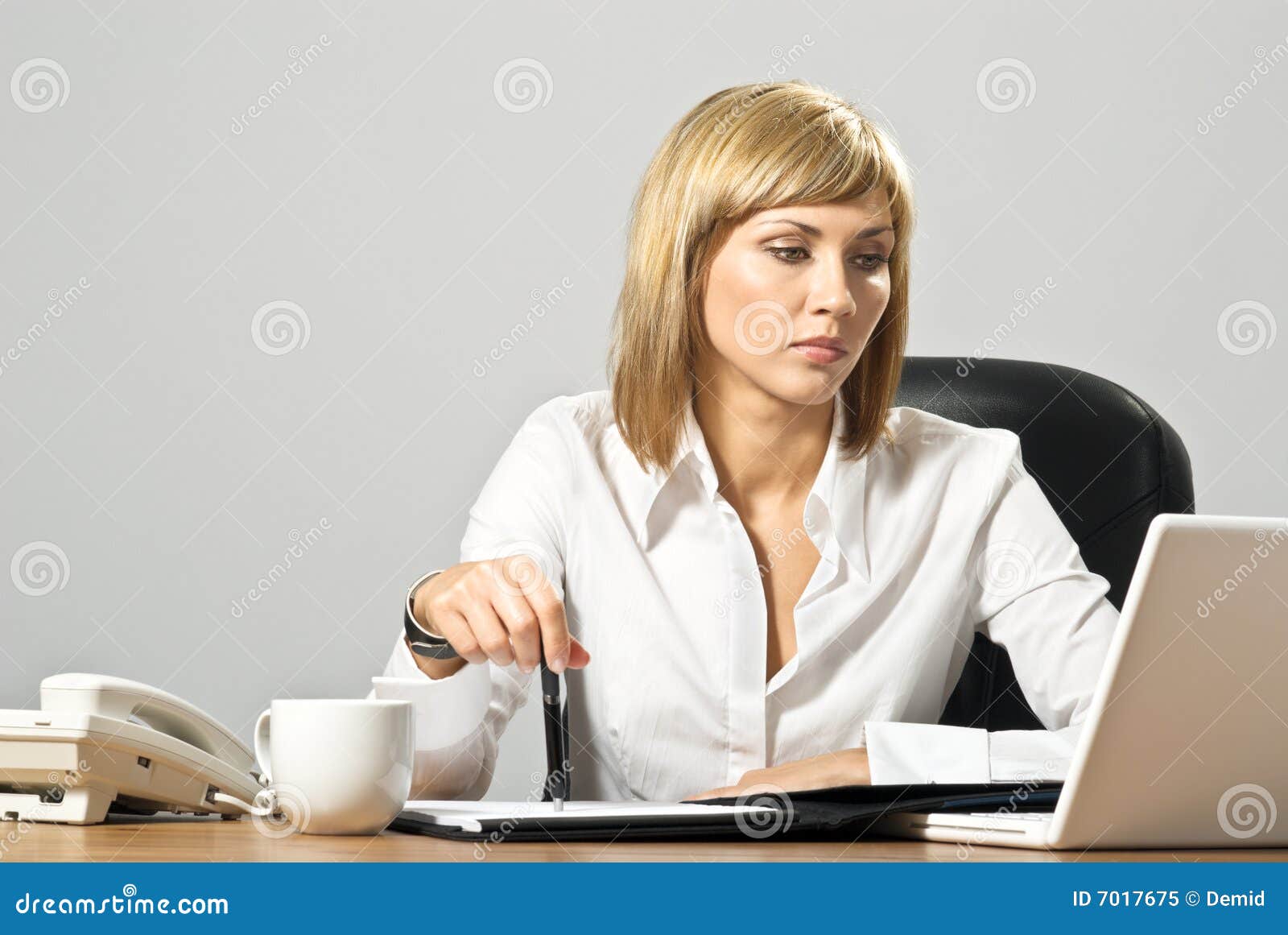 Beautiful Business Lady with Laptop Stock Image - Image of beautiful ...