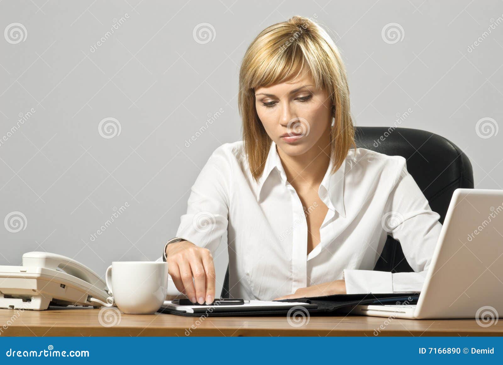 Beautiful Business Lady with Laptop Stock Photo - Image of notebook ...