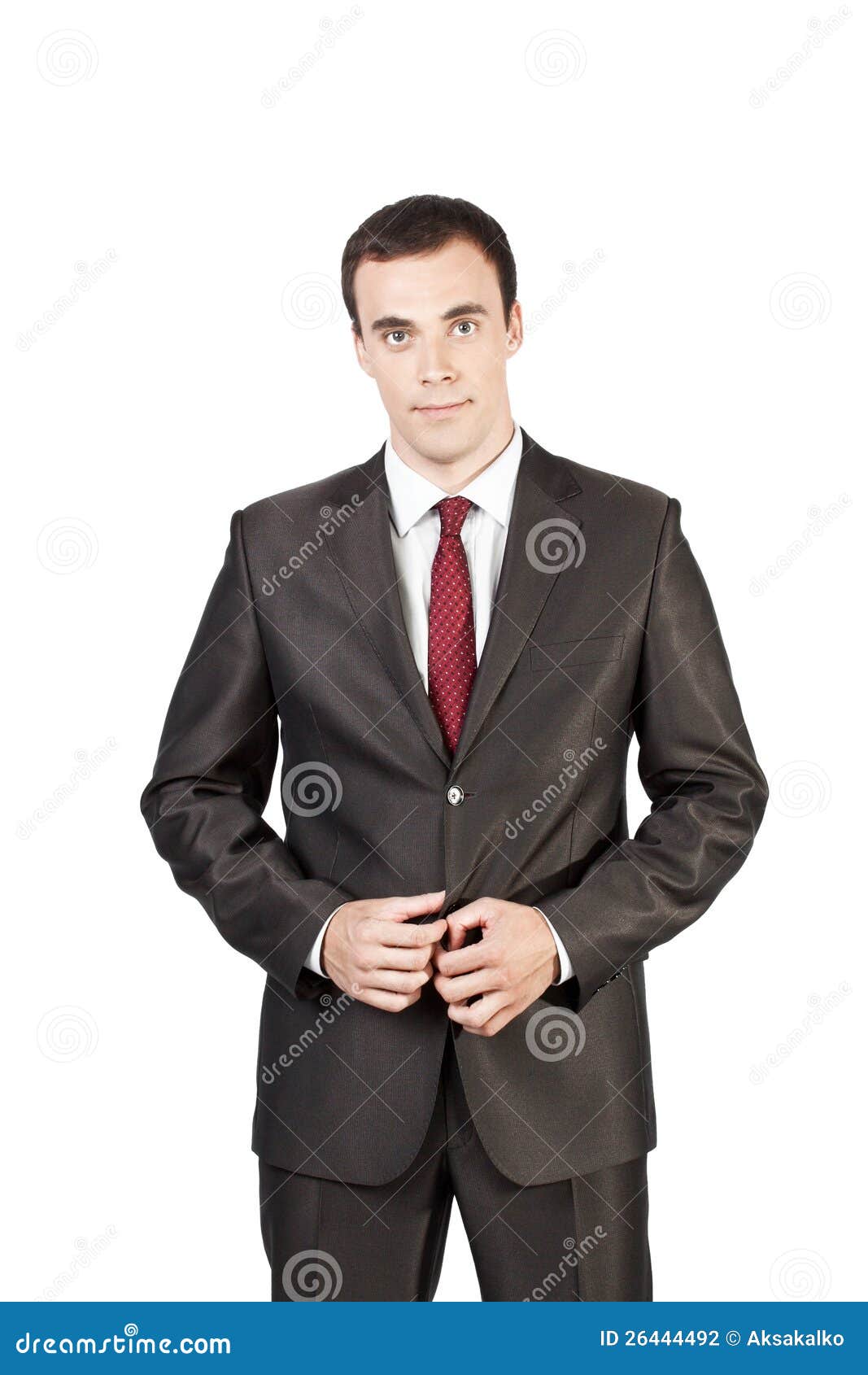 Beautiful Businessman in Suit Tie Stock Photo - Image of caucasian ...