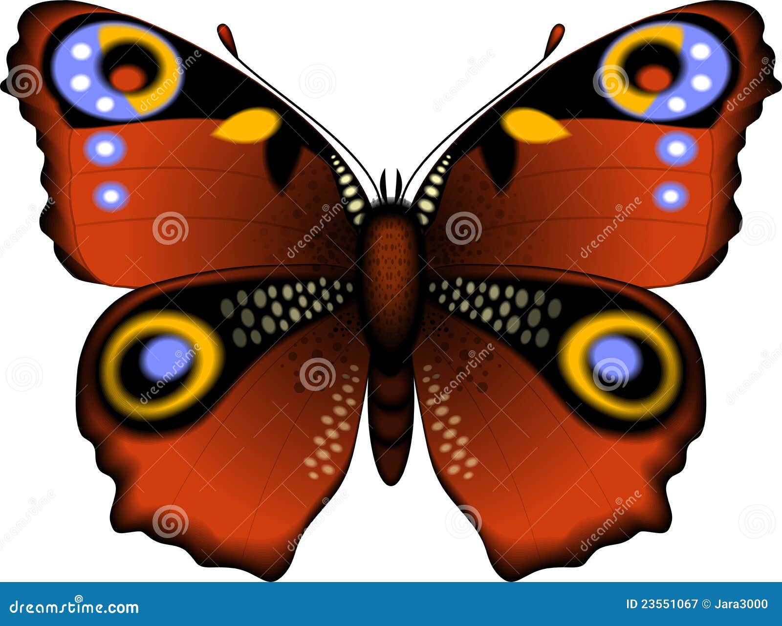 Beautiful Butterfly Graphics Illustrations Pattern | CartoonDealer.com ...