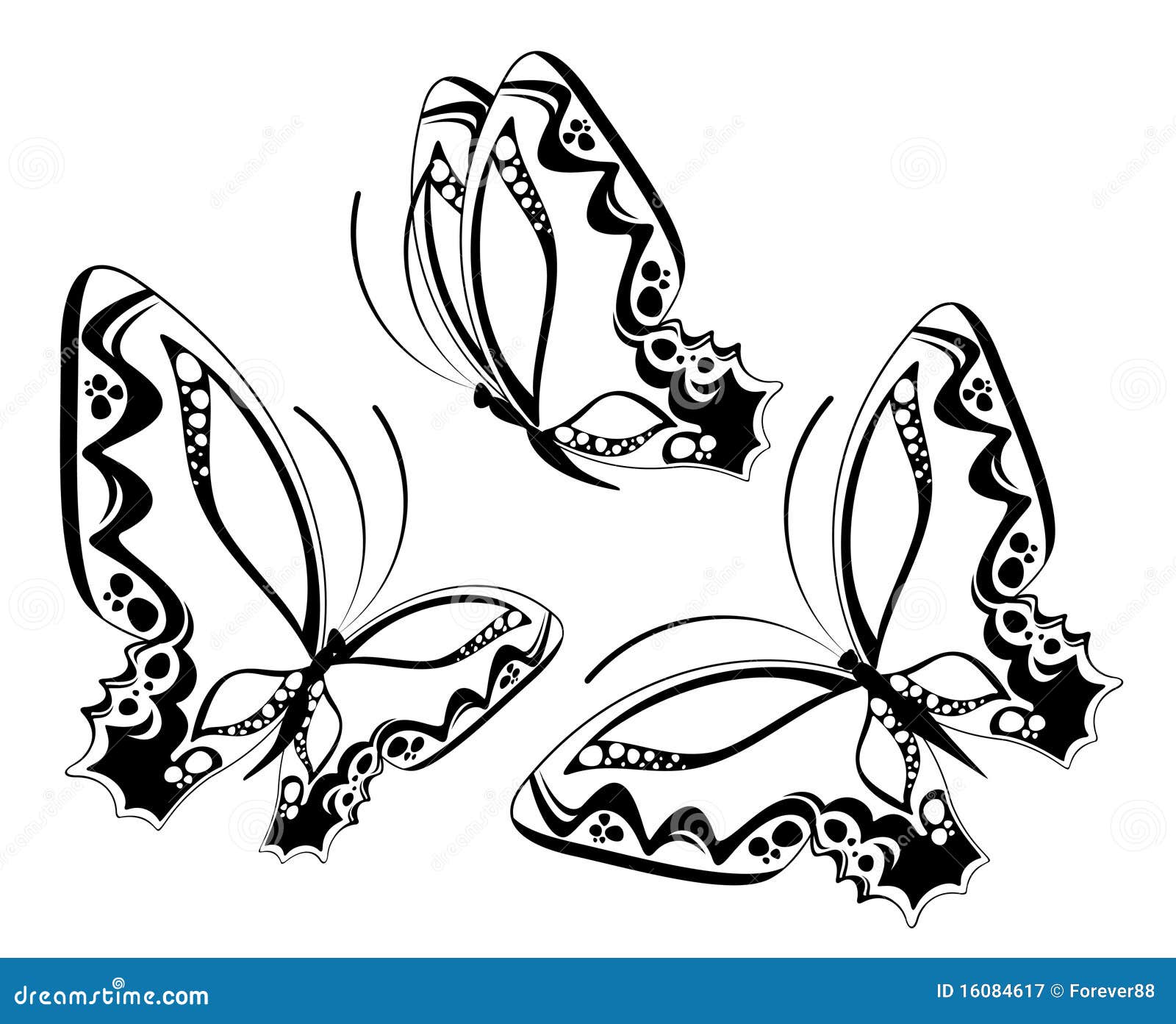 Beautiful Butterfly for a Design Stock Vector - Illustration of wild ...