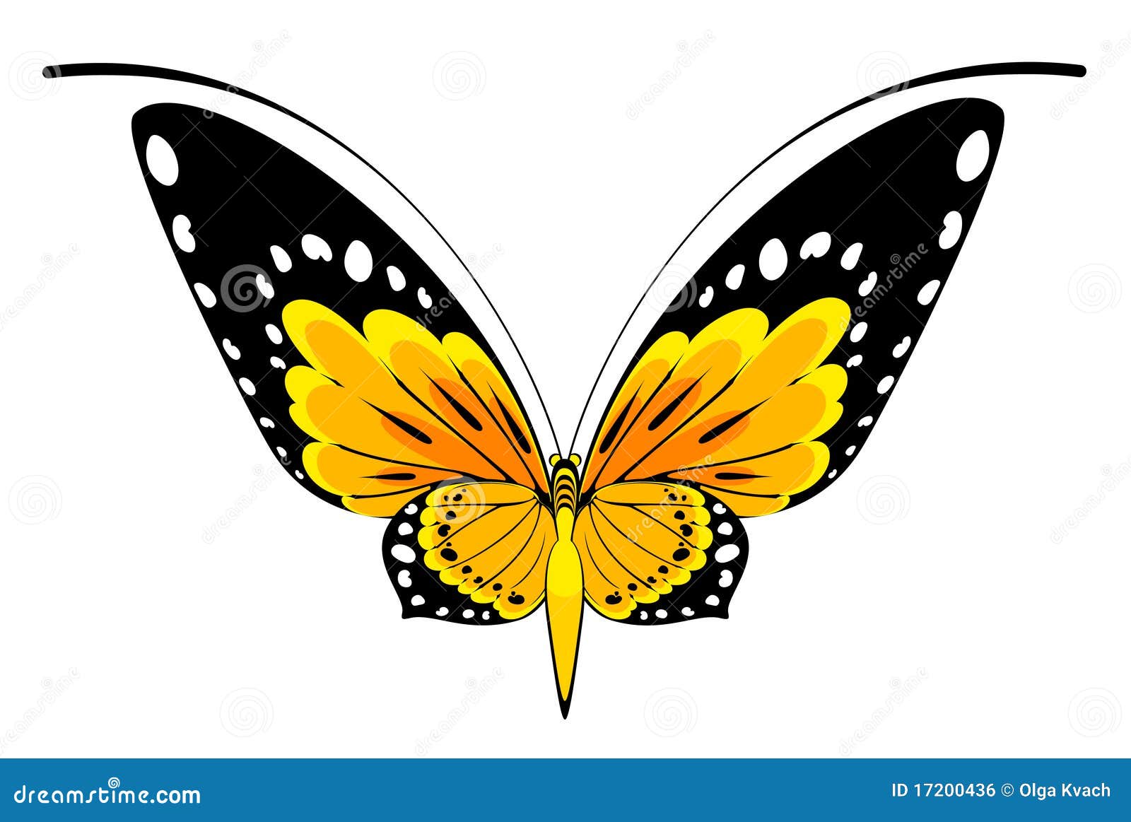Beautiful Butterfly for a Design Stock Vector - Illustration of wild ...
