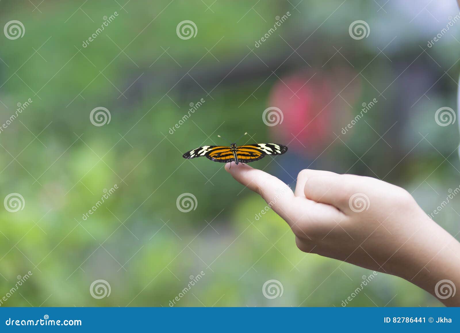 Beautiful Butterfly Sitting on the Hand Stock Image - Image of ...