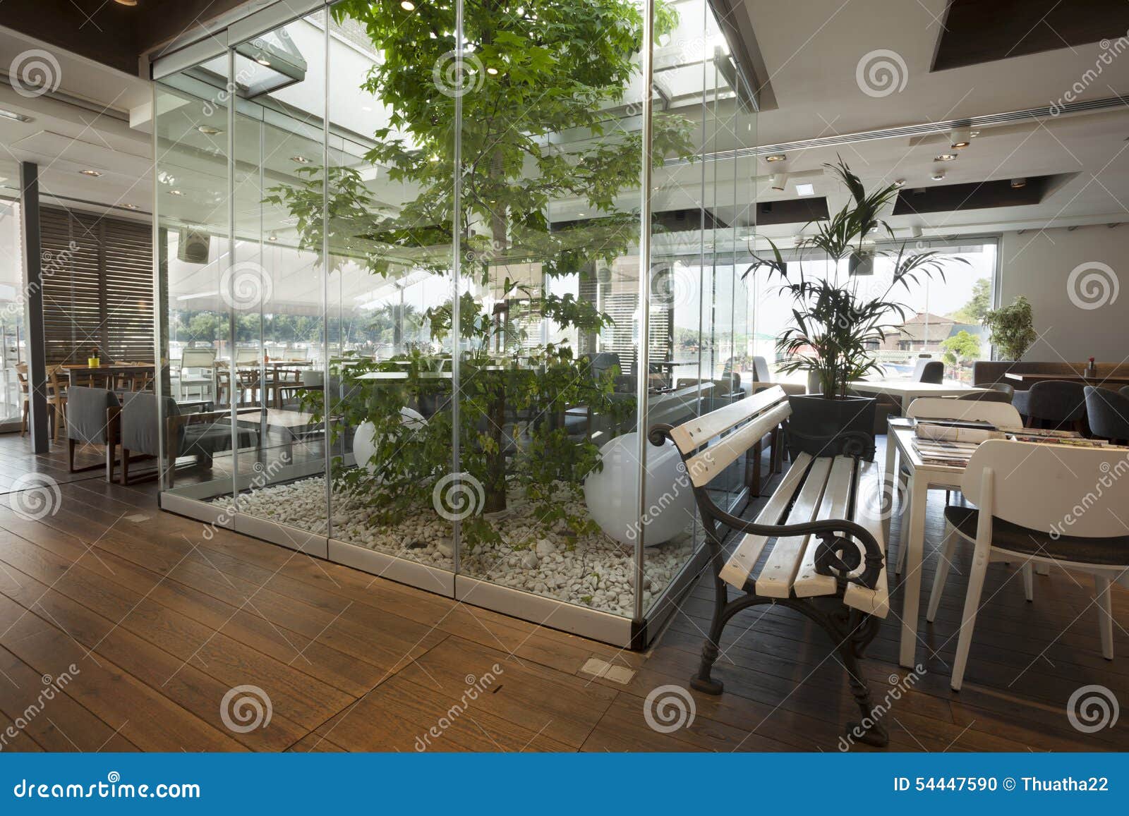 Beautiful Cafe Interior with Tree Stock Photo - Image of wooden ...