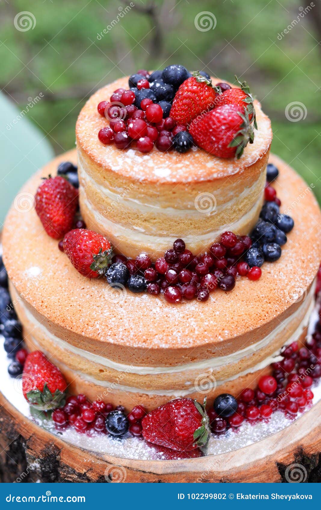 Beautiful cake stock photo. Image of currant, wedding - 102299802