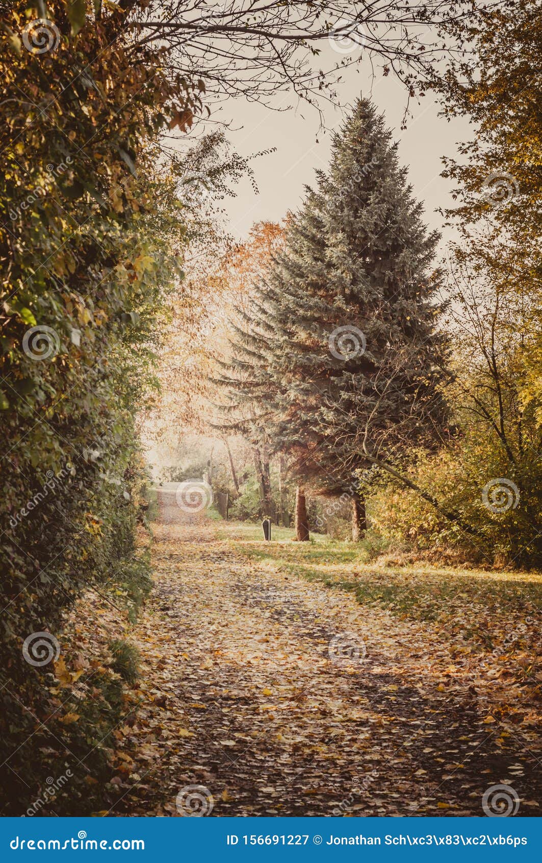 Beautiful calm autumn path stock image. Image of surface - 156691227